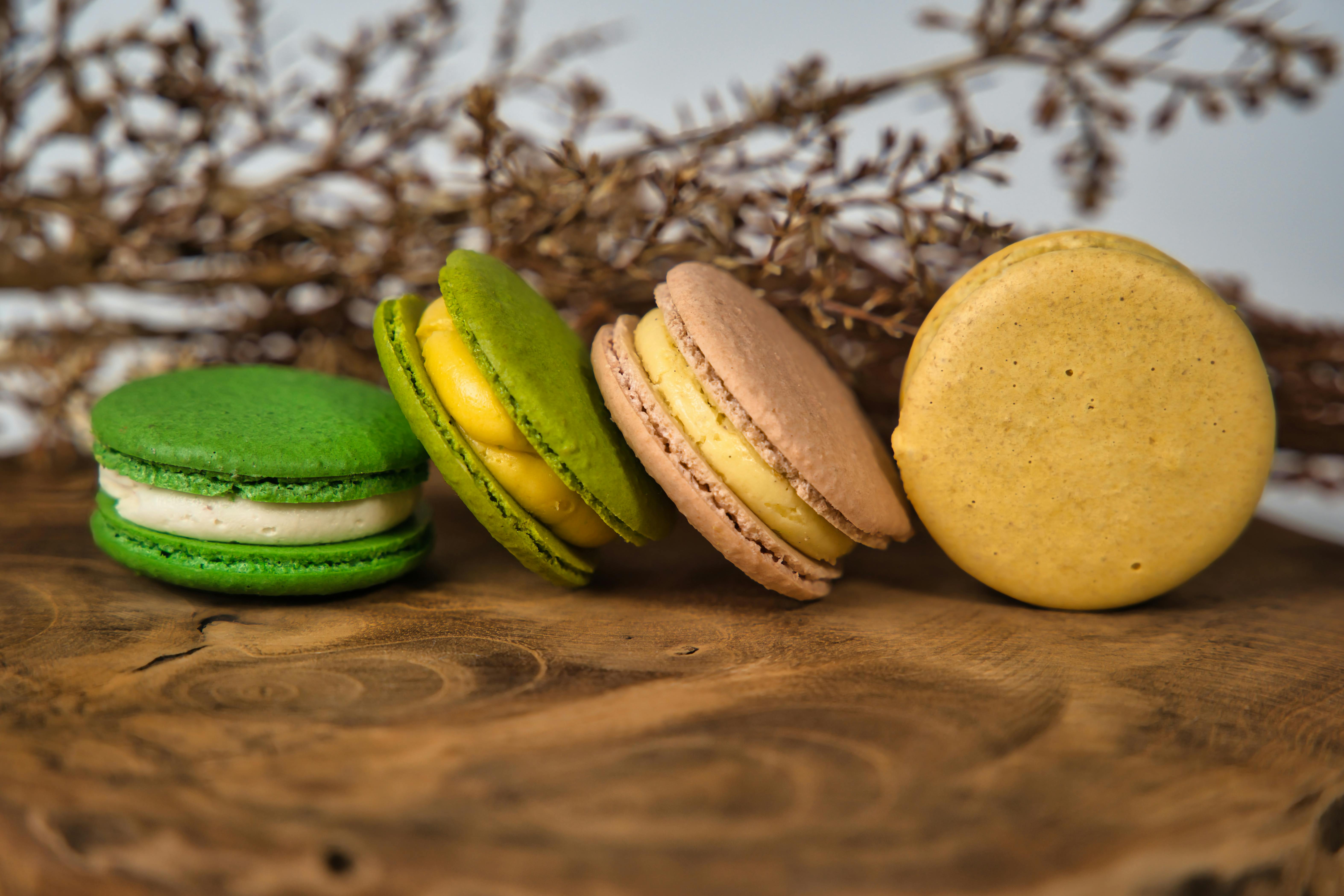 Plate Worksheet Photos, Download The BEST Free Plate Worksheet Stock ...