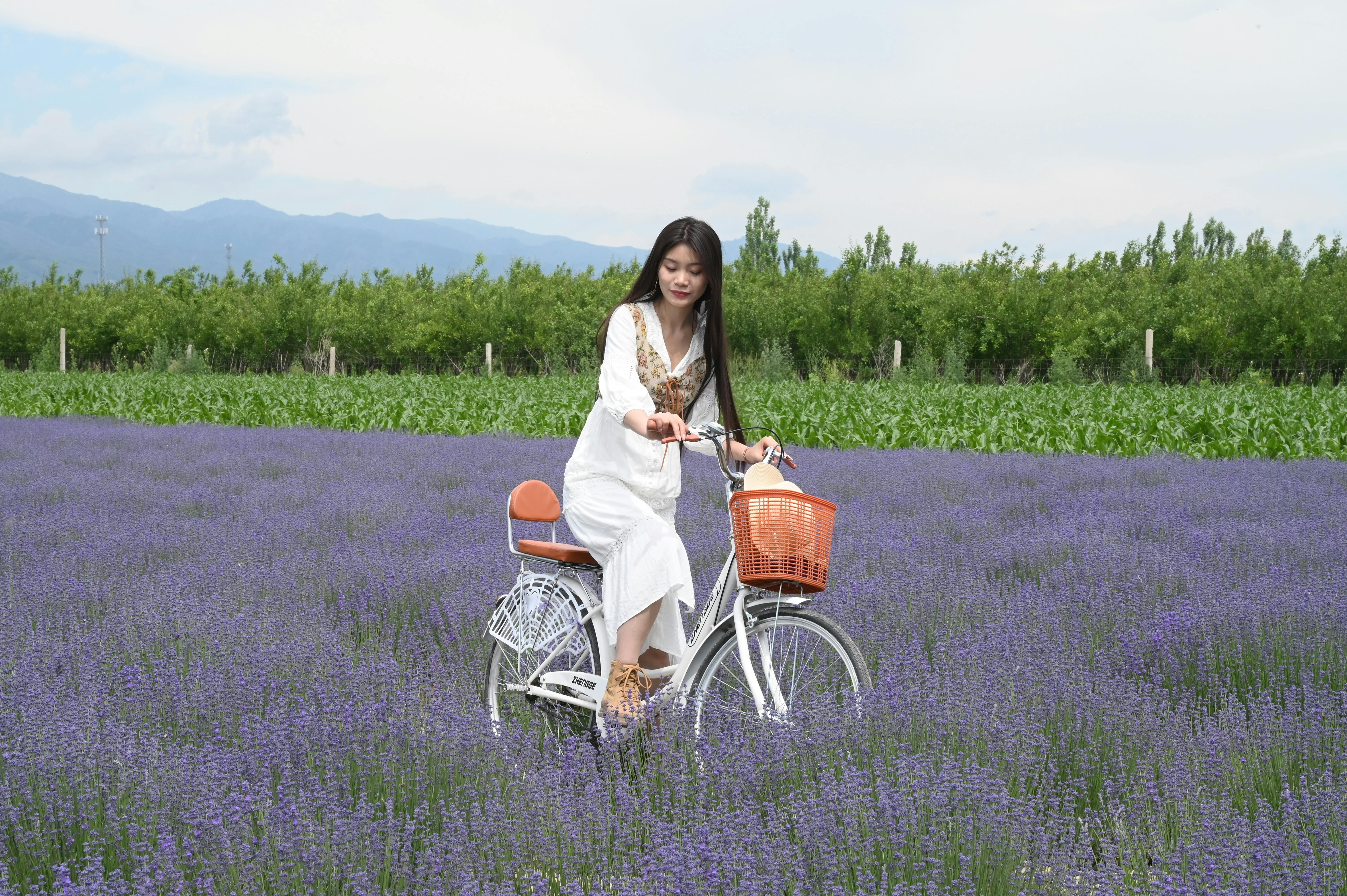 Lady Chasing Freedom Photos, Download The BEST Free Lady Chasing ...