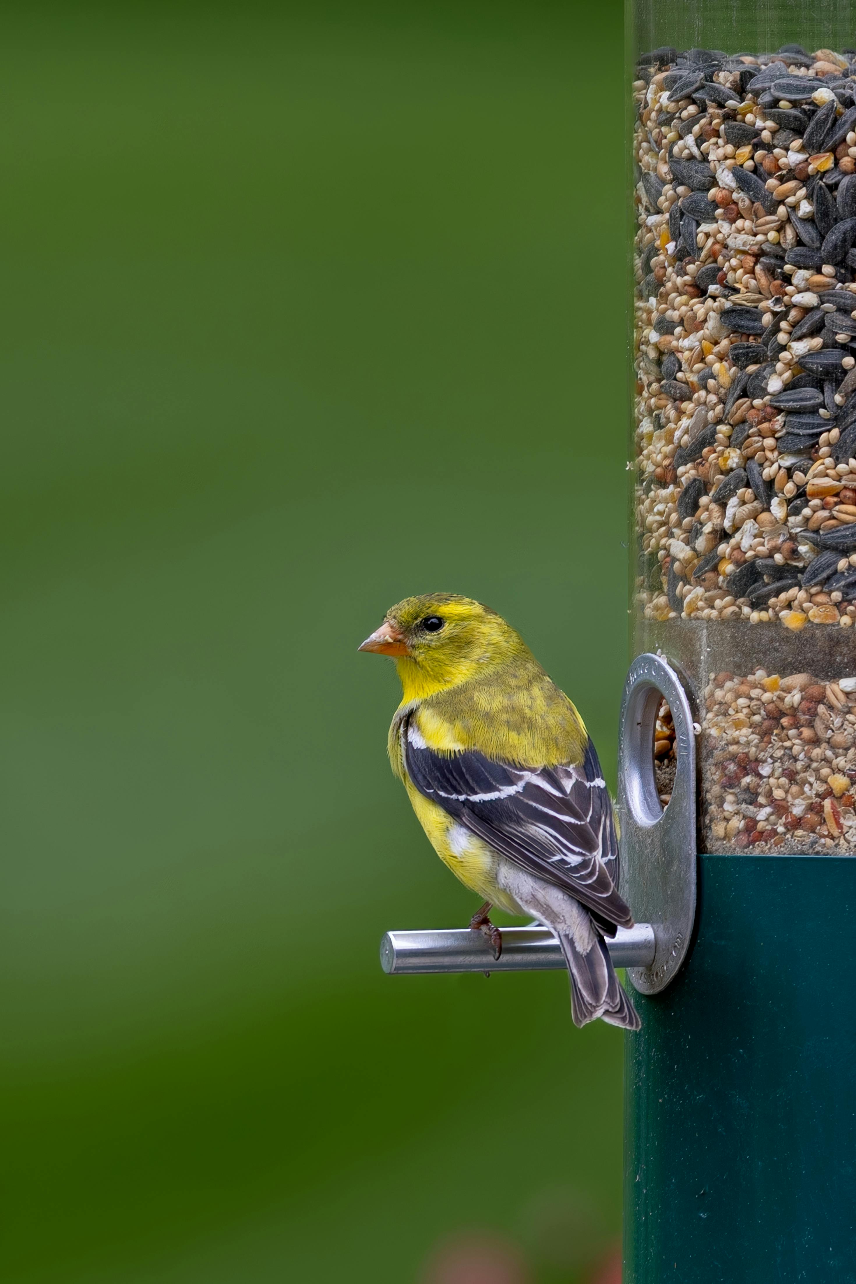 Hd Sinari Photos, Download The BEST Free Hd Sinari Stock Photos & HD Images