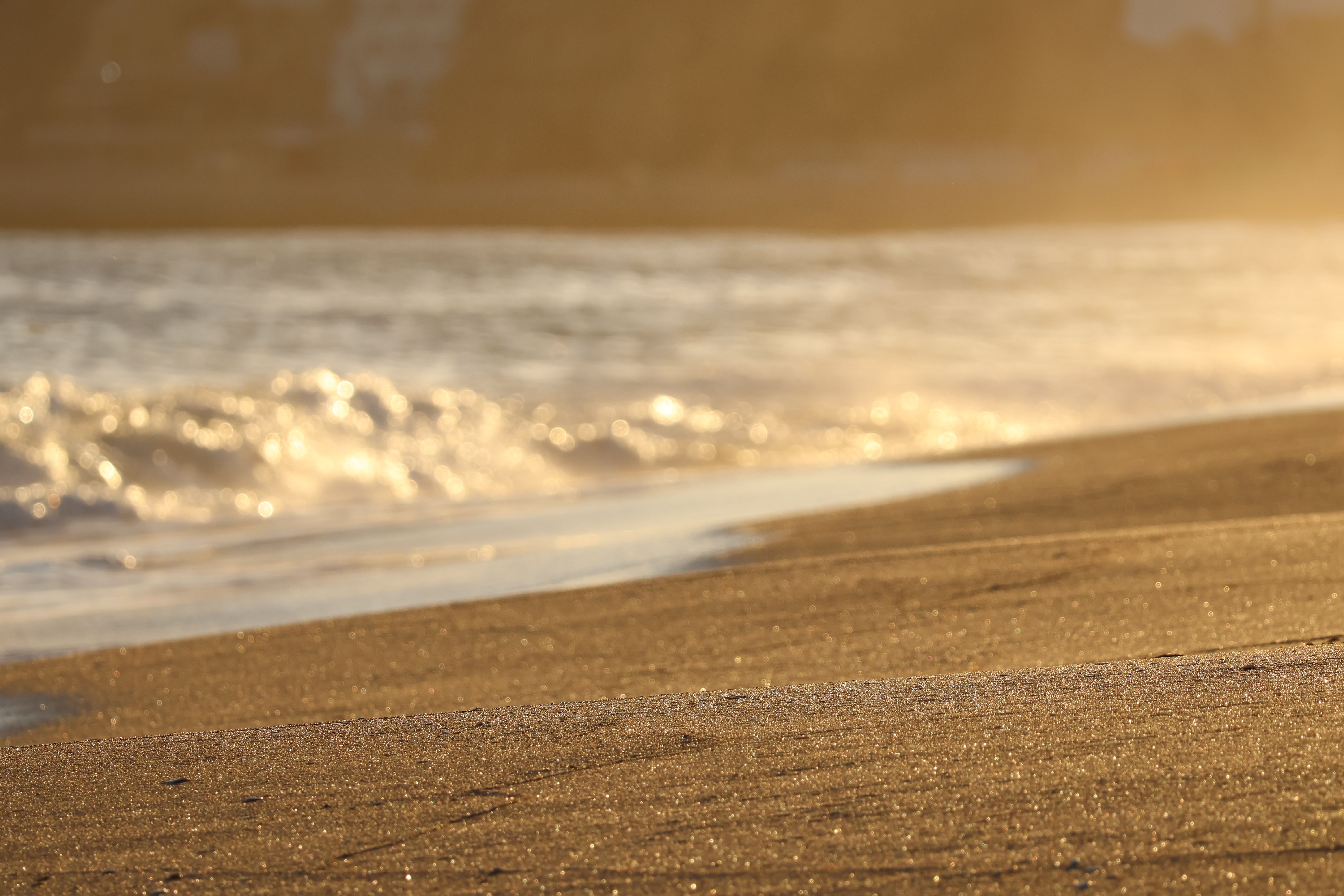 Golden Sunlight on Tranquil Beach Waves · Free Stock Photo