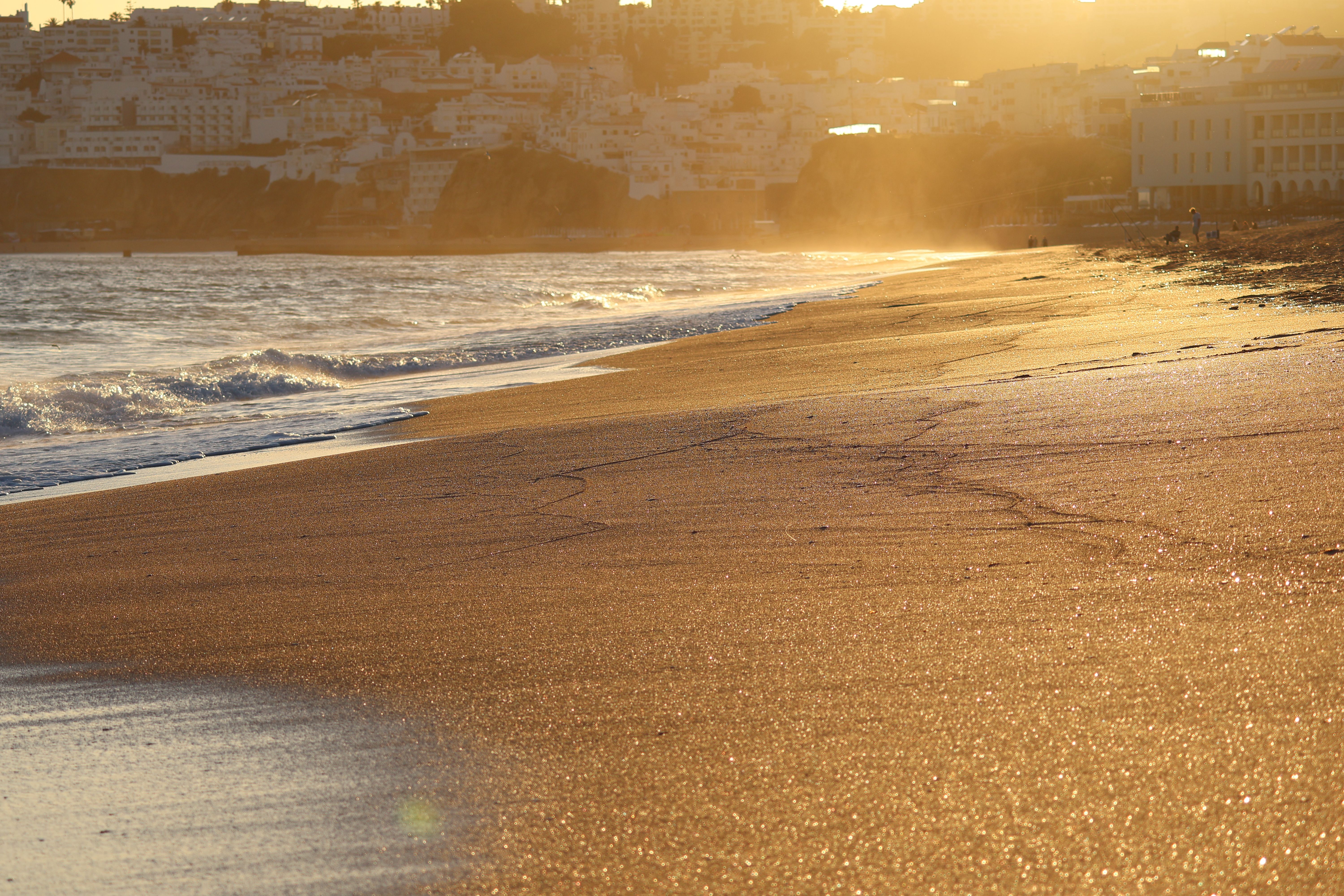 Golden Beach at Sunset with Sparkling Sand · Free Stock Photo