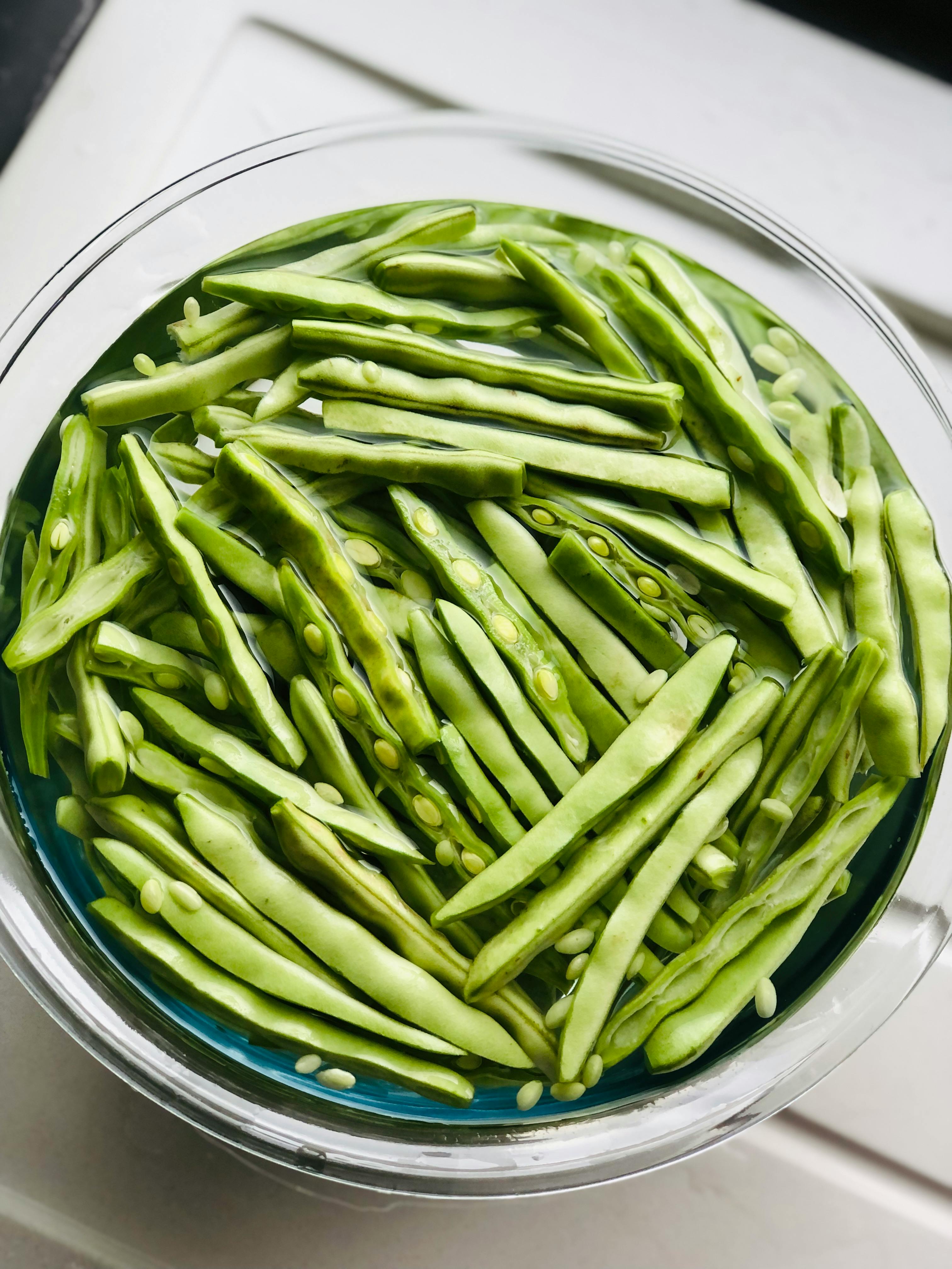 Pod Arvores Photos, Download The BEST Free Pod Arvores Stock Photos ...