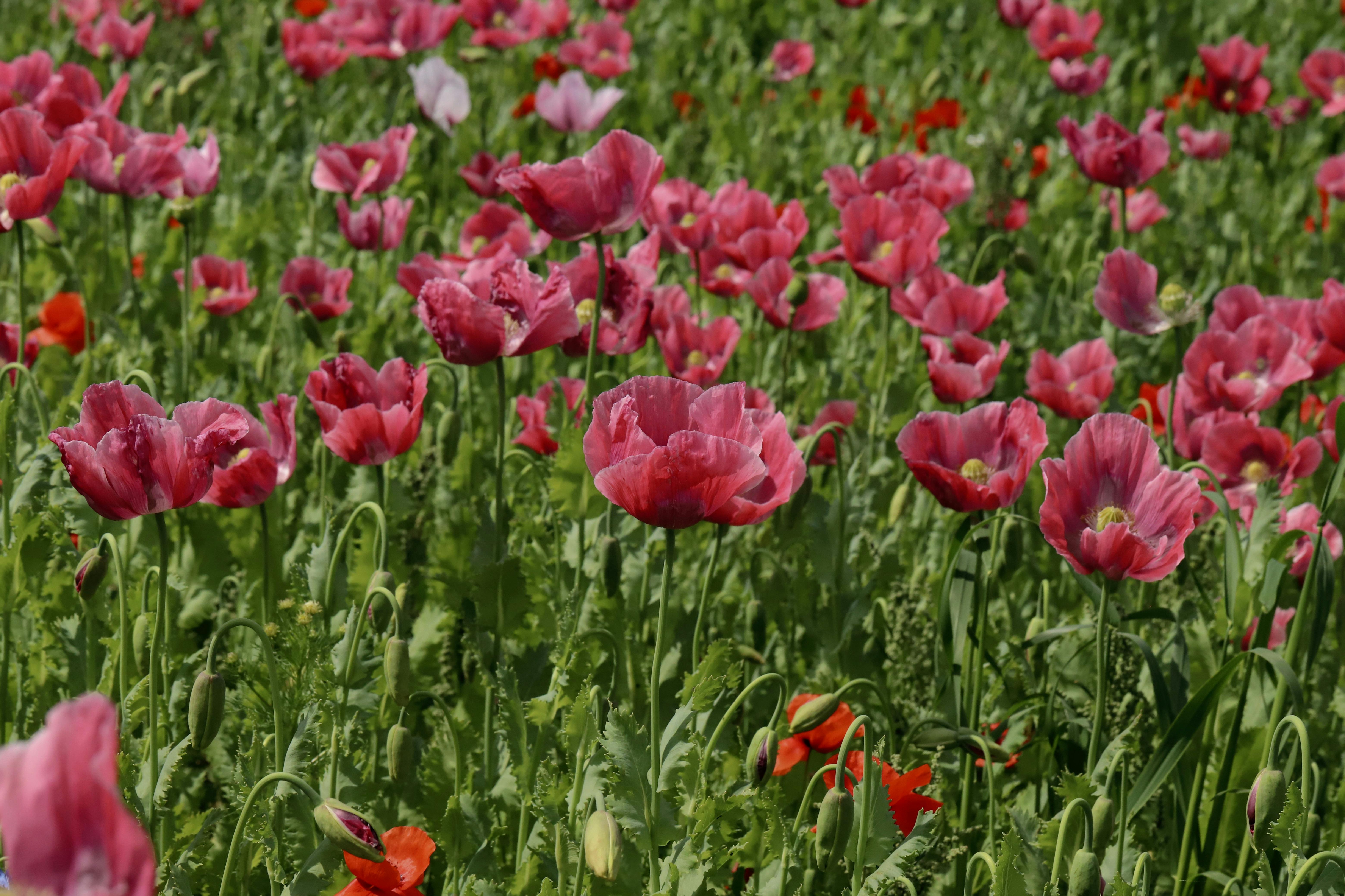 Outside Photos, Download The BEST Free Outside Stock Photos & HD Images