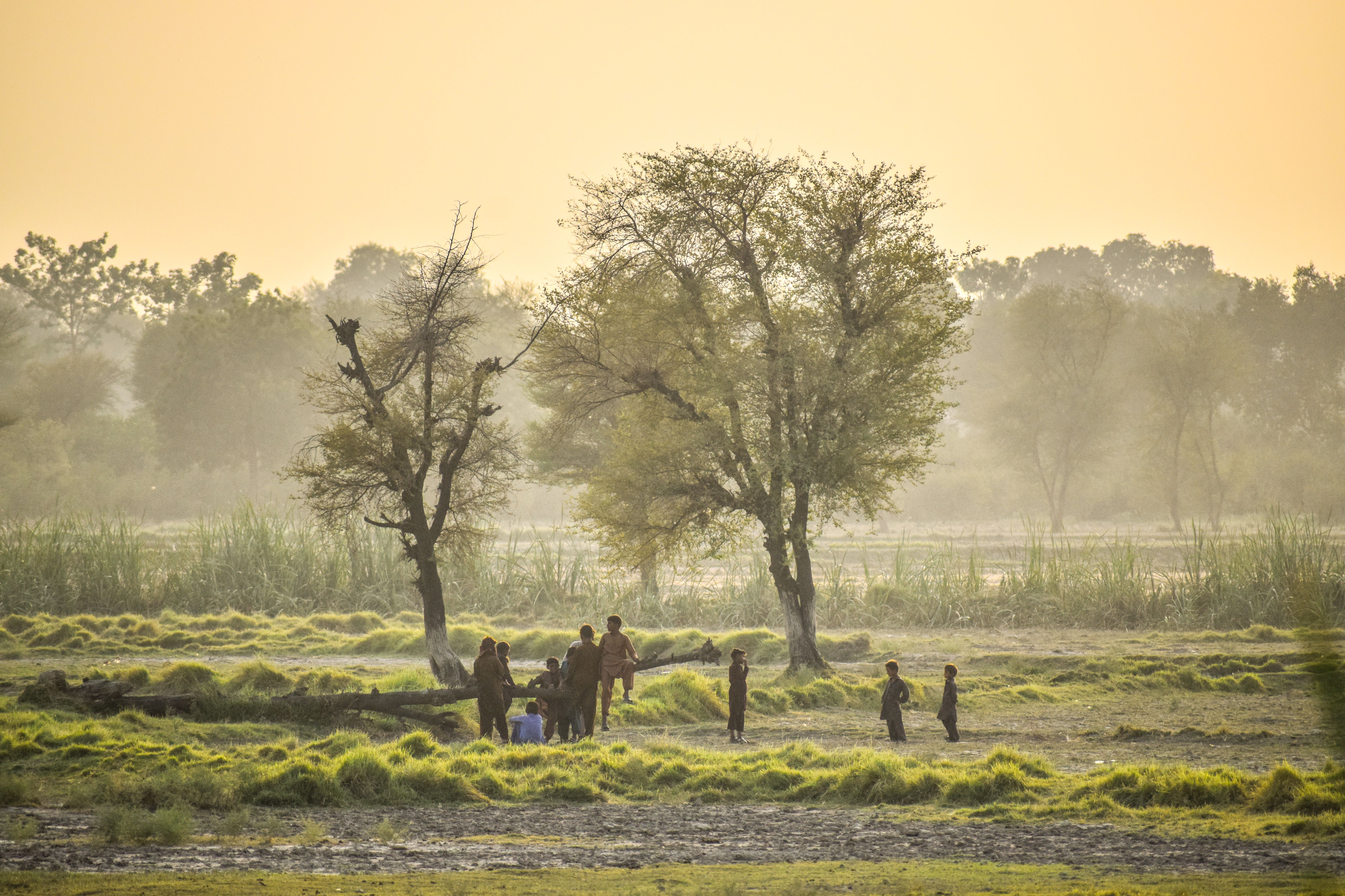 Children Playing in Rural Sindh Landscape · Free Stock Photo