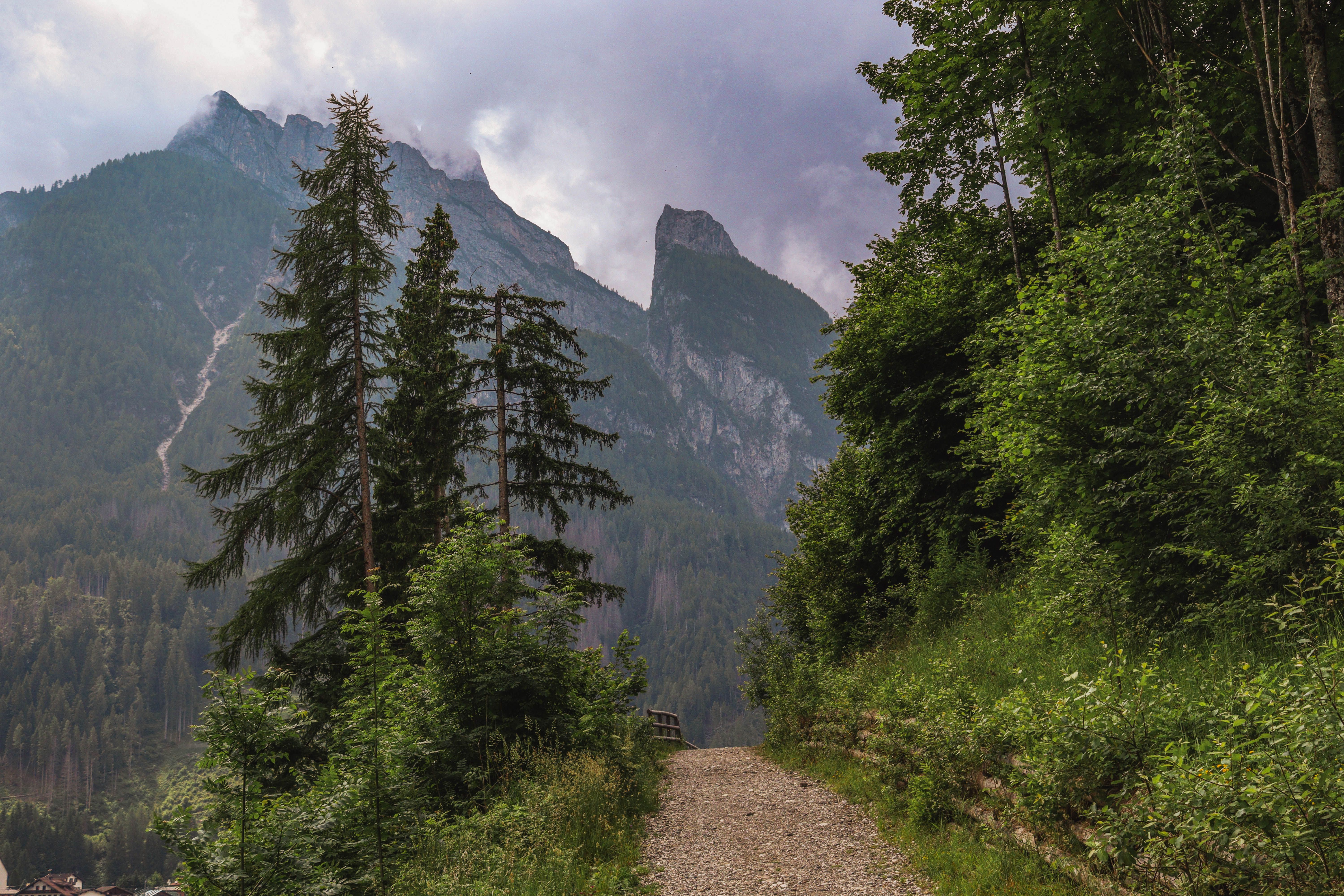 Scenic Mountain Pathway in Lush Forest · Free Stock Photo