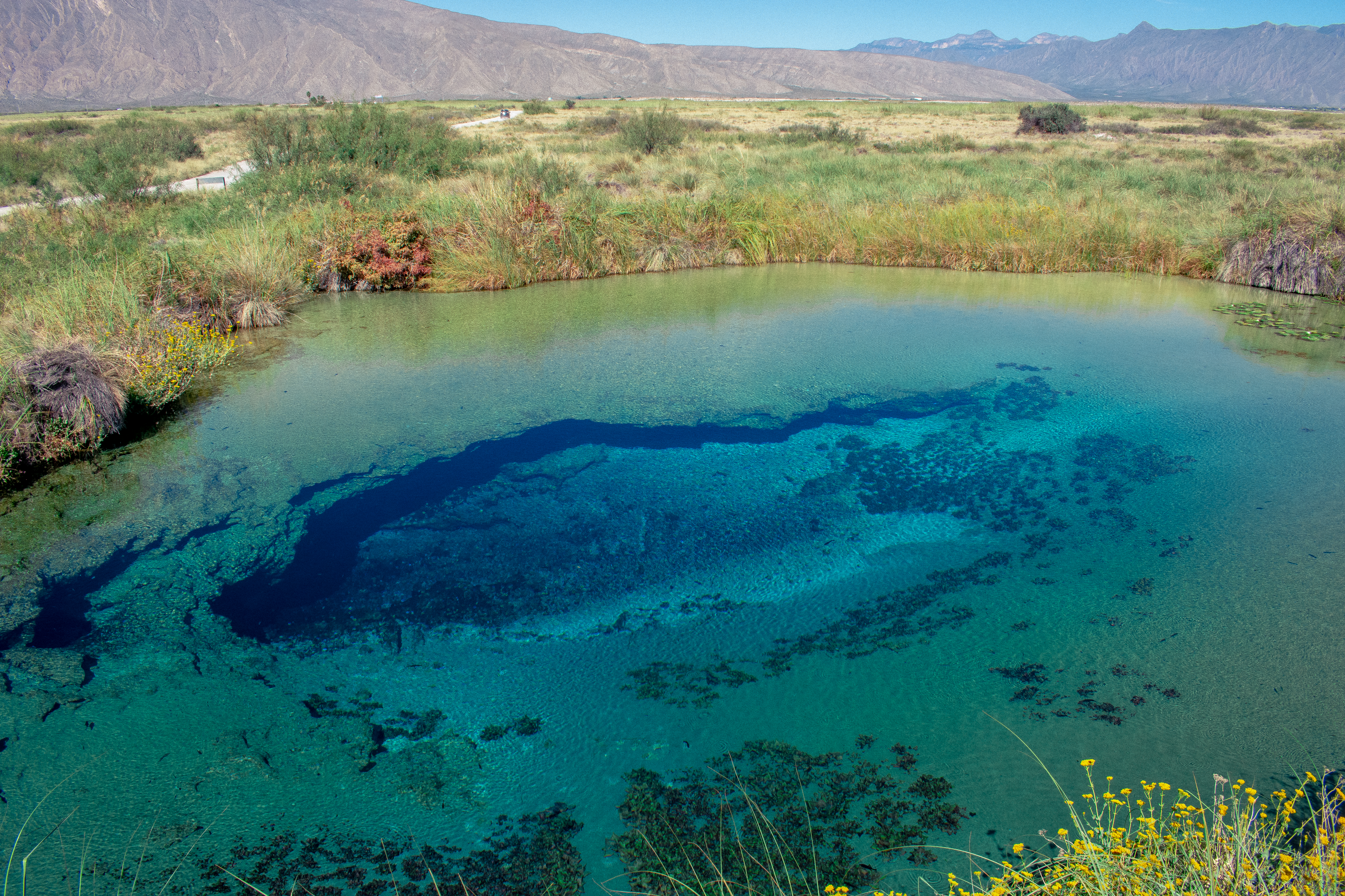 Crystal Clear Waters of Poza Azul in Coahuila · Free Stock Photo