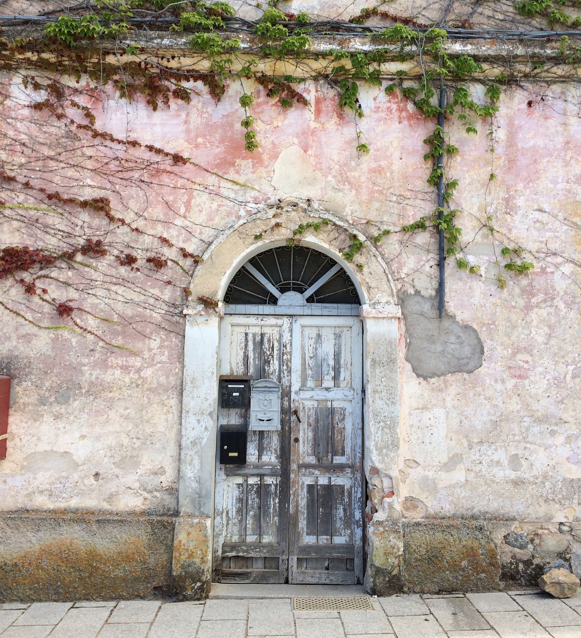 Charming Ivy-Covered Italian Doorway · Free Stock Photo