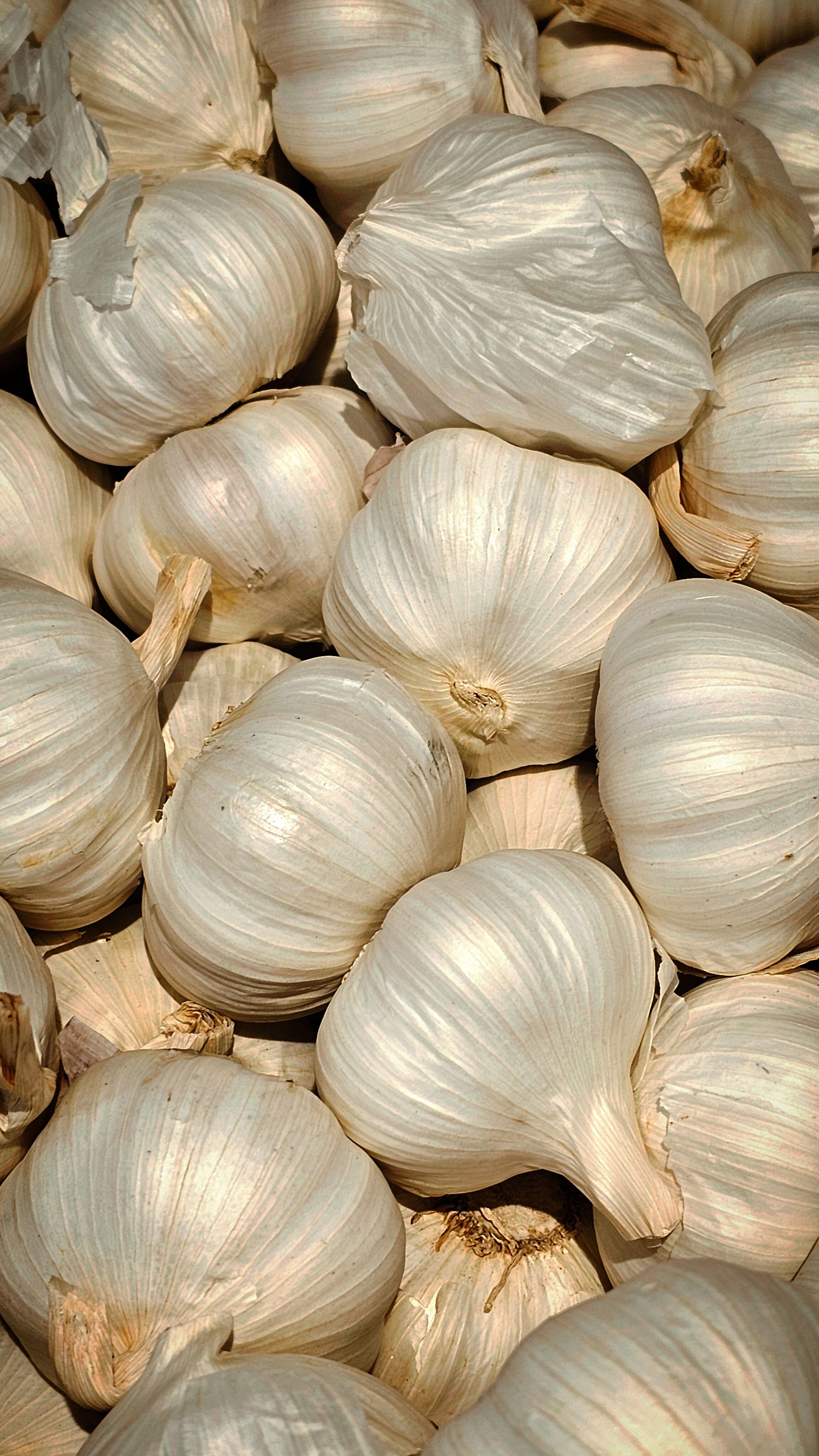Pile of Fresh Garlic Bulbs for Culinary Use · Free Stock Photo