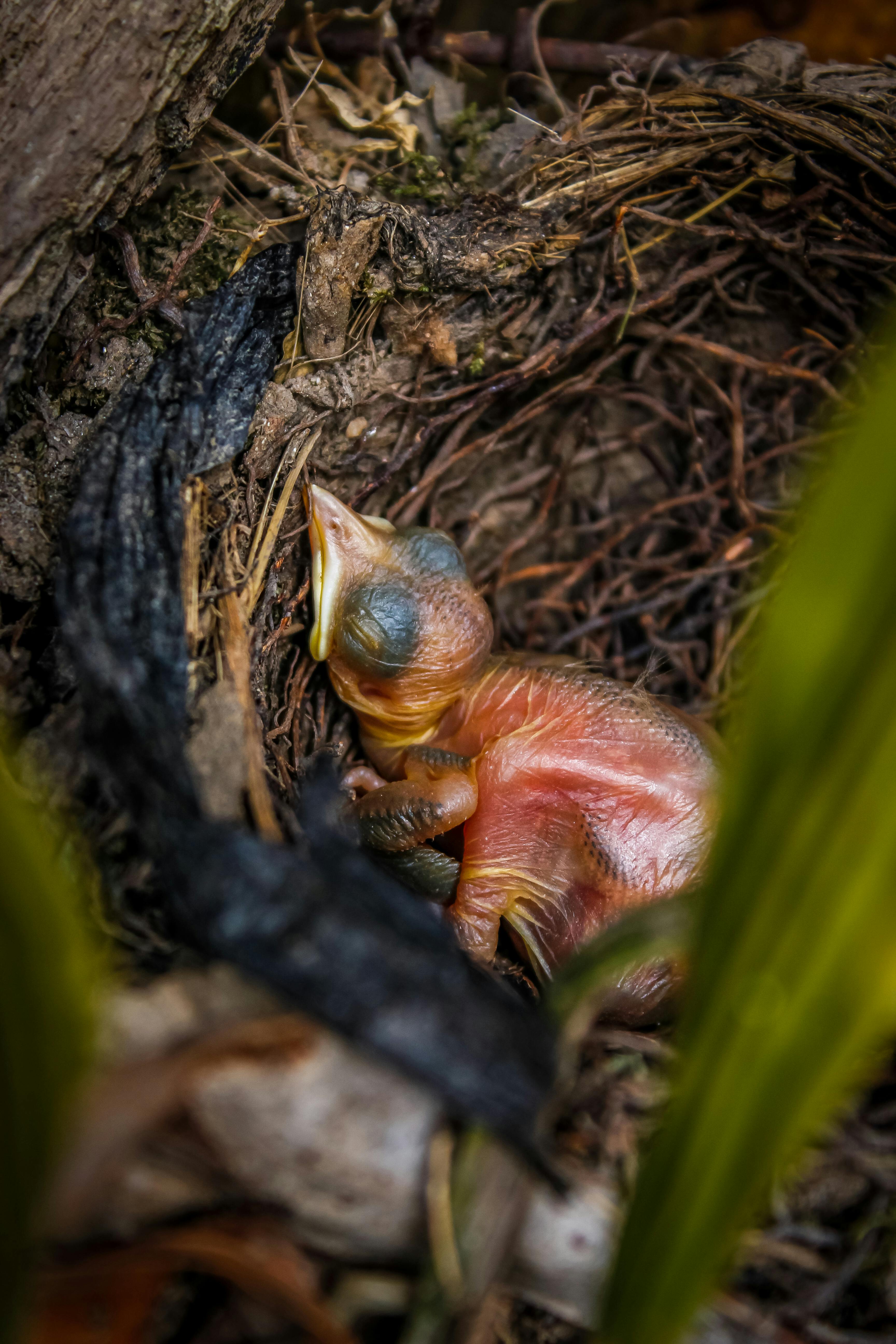 Birth Class Photos, Download The BEST Free Birth Class Stock Photos ...