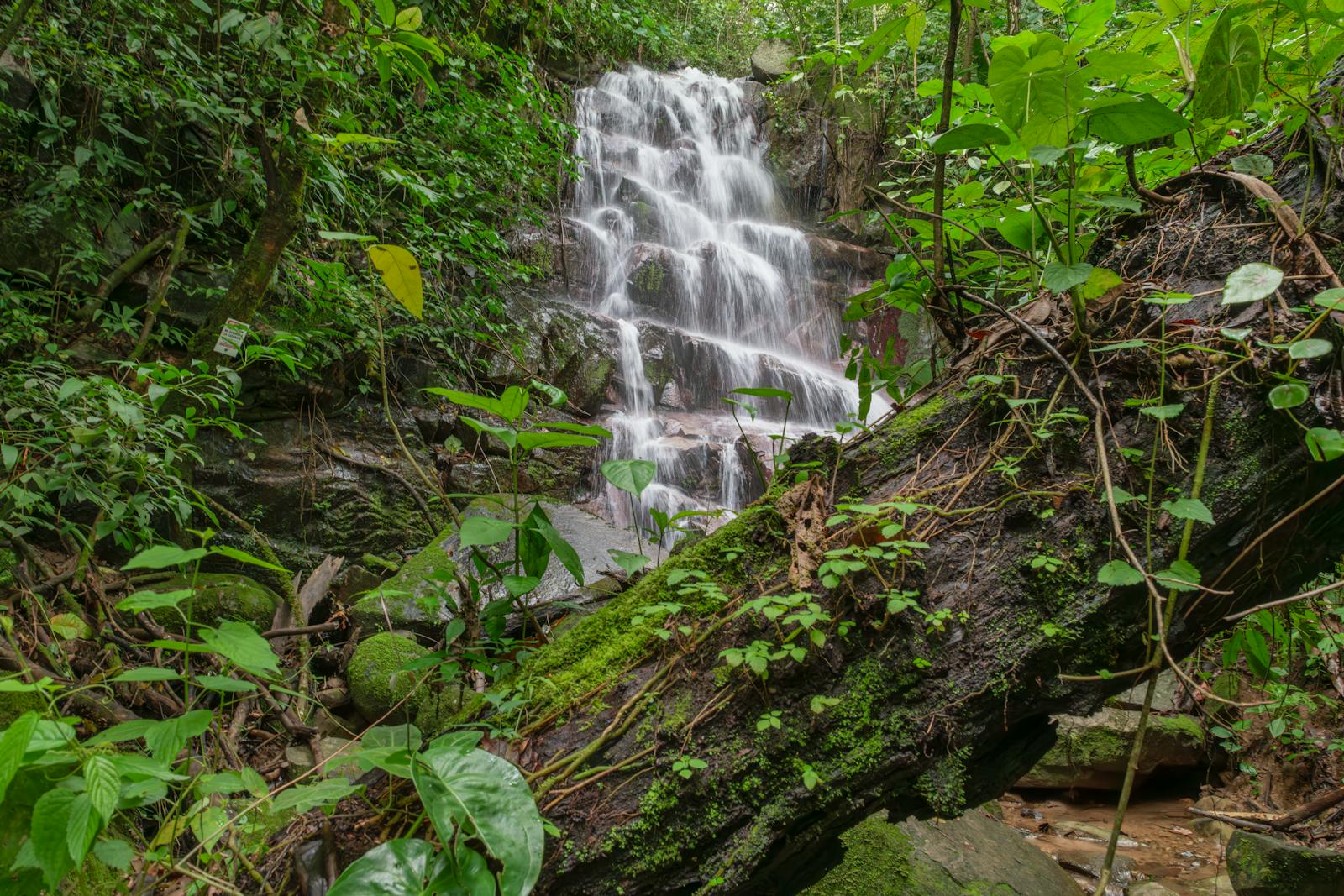 Costa Rica Photos, Download The BEST Free Costa Rica Stock Photos & HD ...