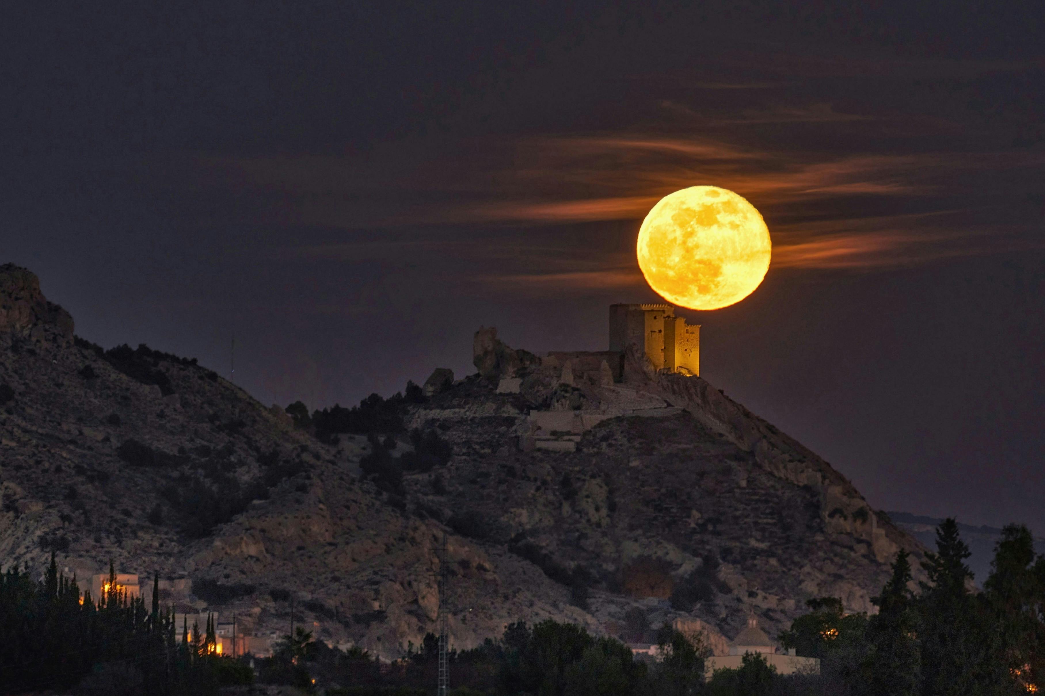 Full Moon Castle Photos, Download The BEST Free Full Moon Castle Stock ...