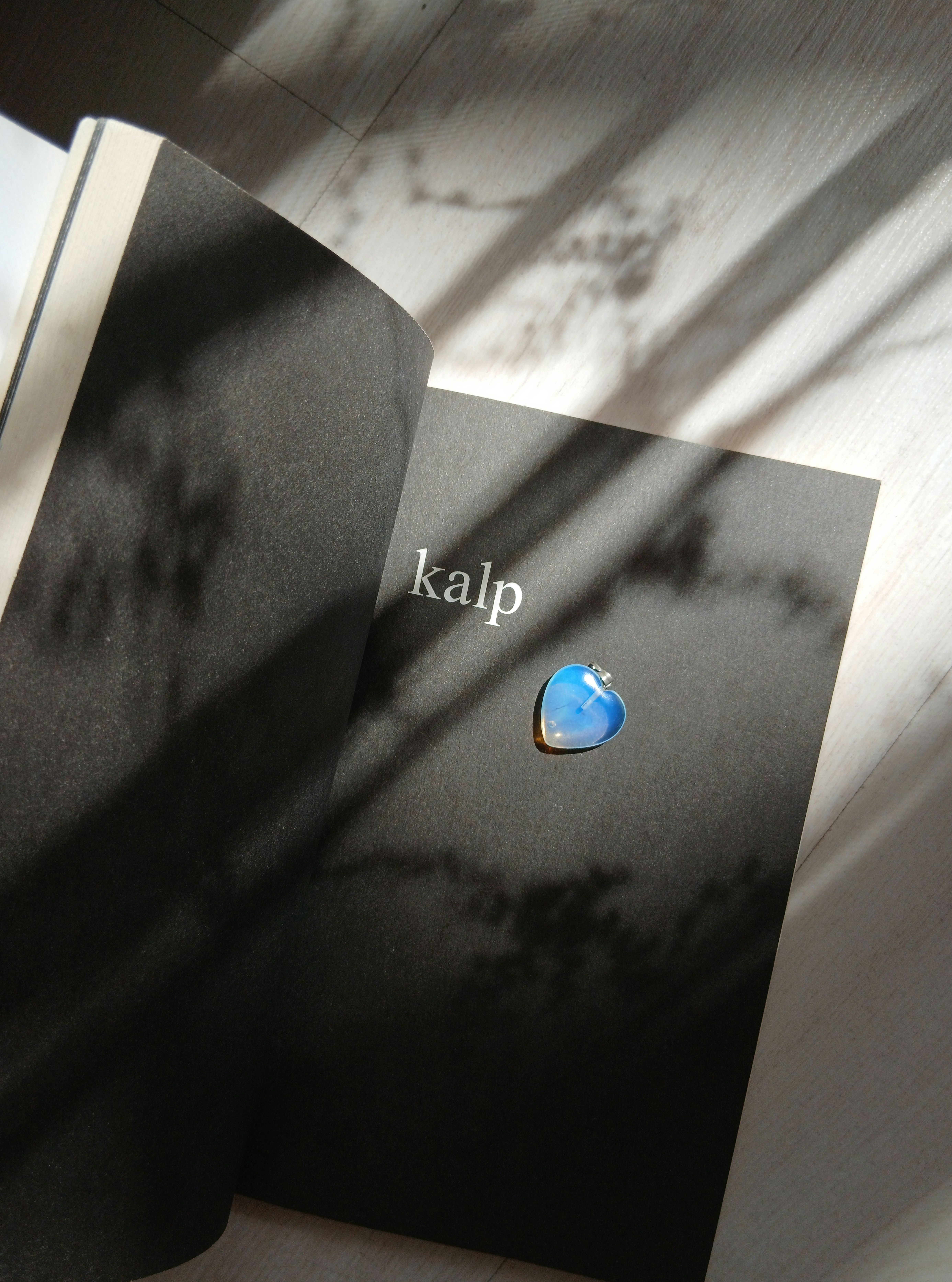Black Page Photos, Download The BEST Free Black Page Stock Photos & HD ...