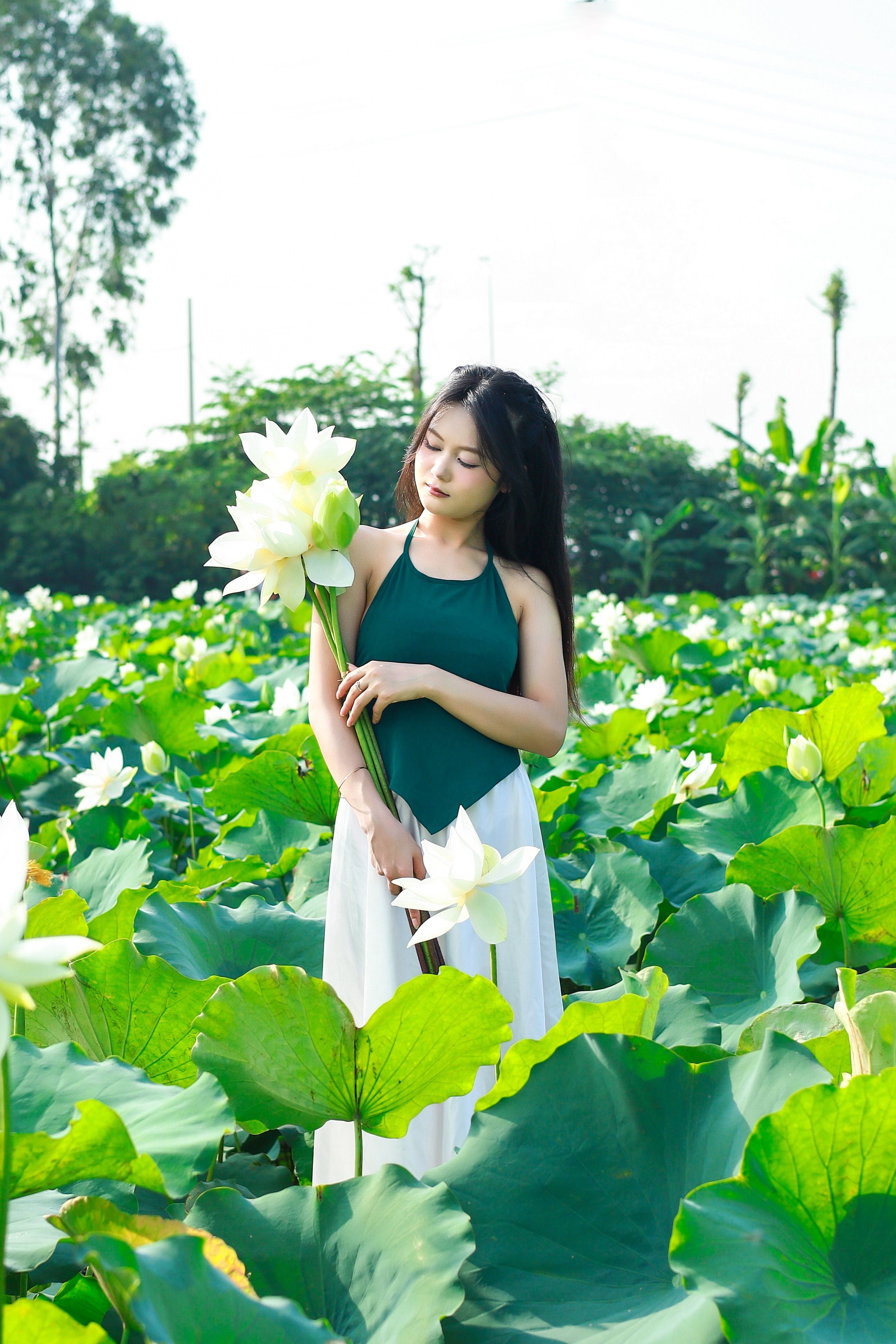 Young Woman Posing in a Vibrant Lotus Field in Vietnam · Free Stock Photo