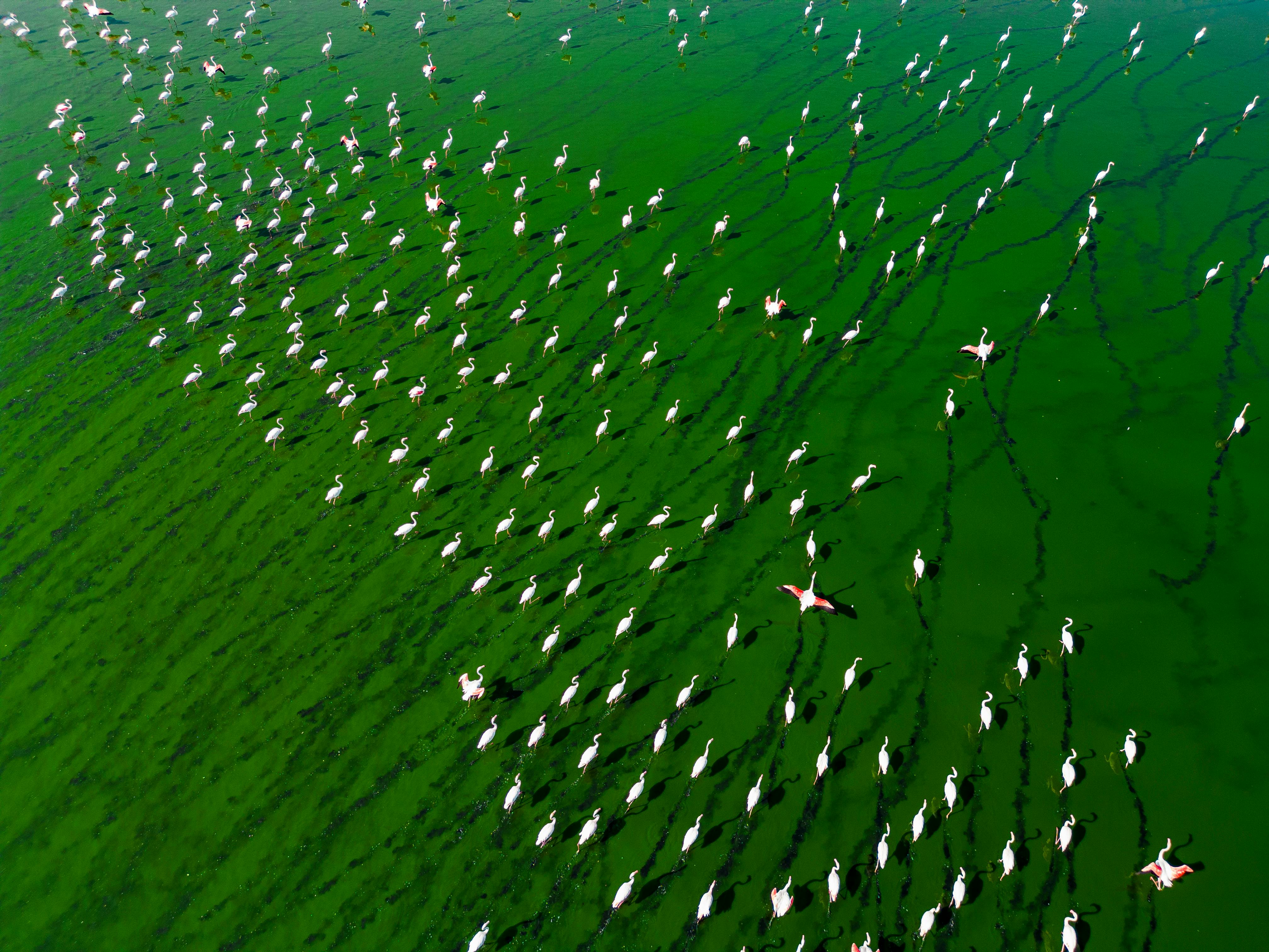 High Contrast Photos, Download The BEST Free High Contrast Stock Photos ...