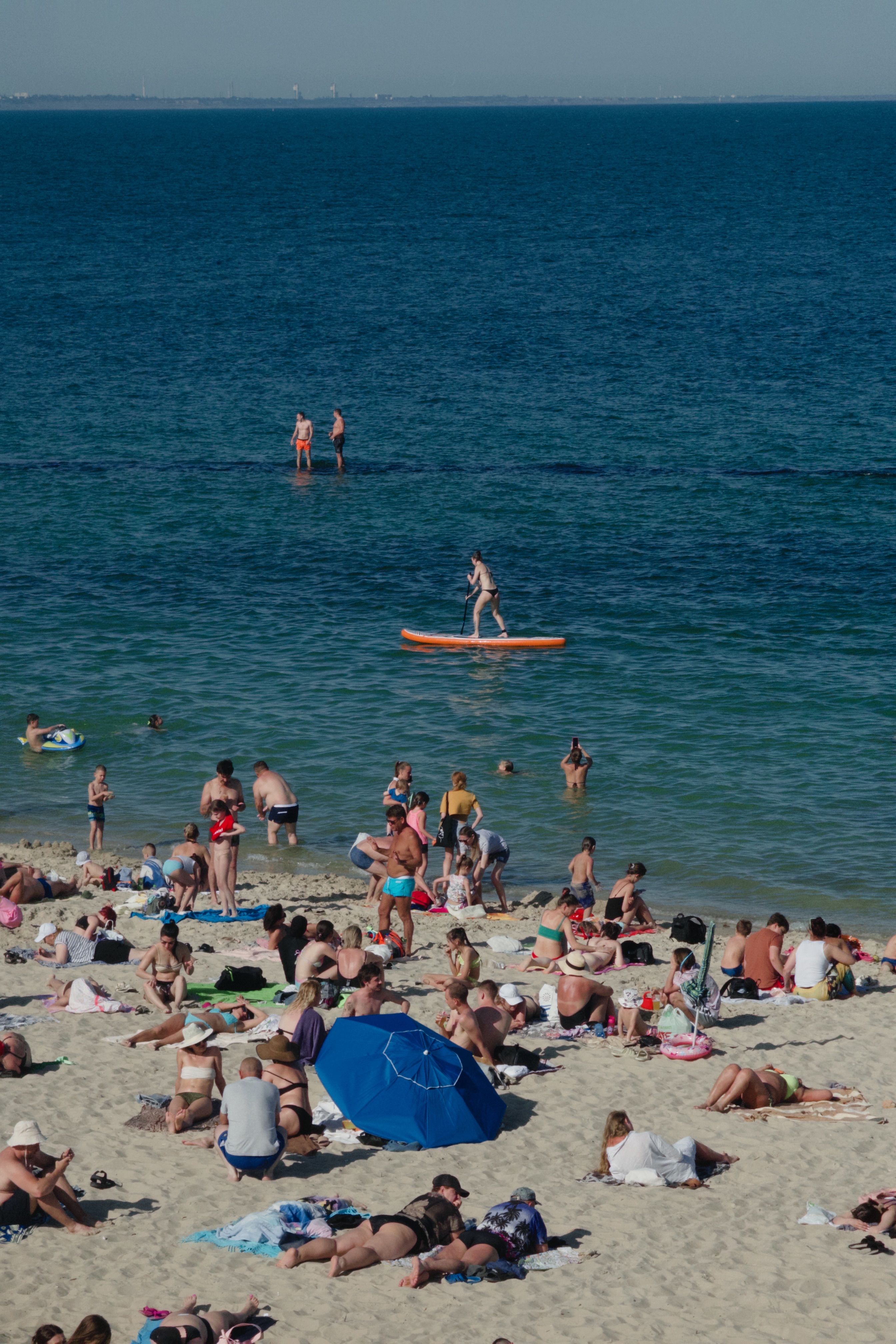 Group of People on Beach at Daytime · Free Stock Photo