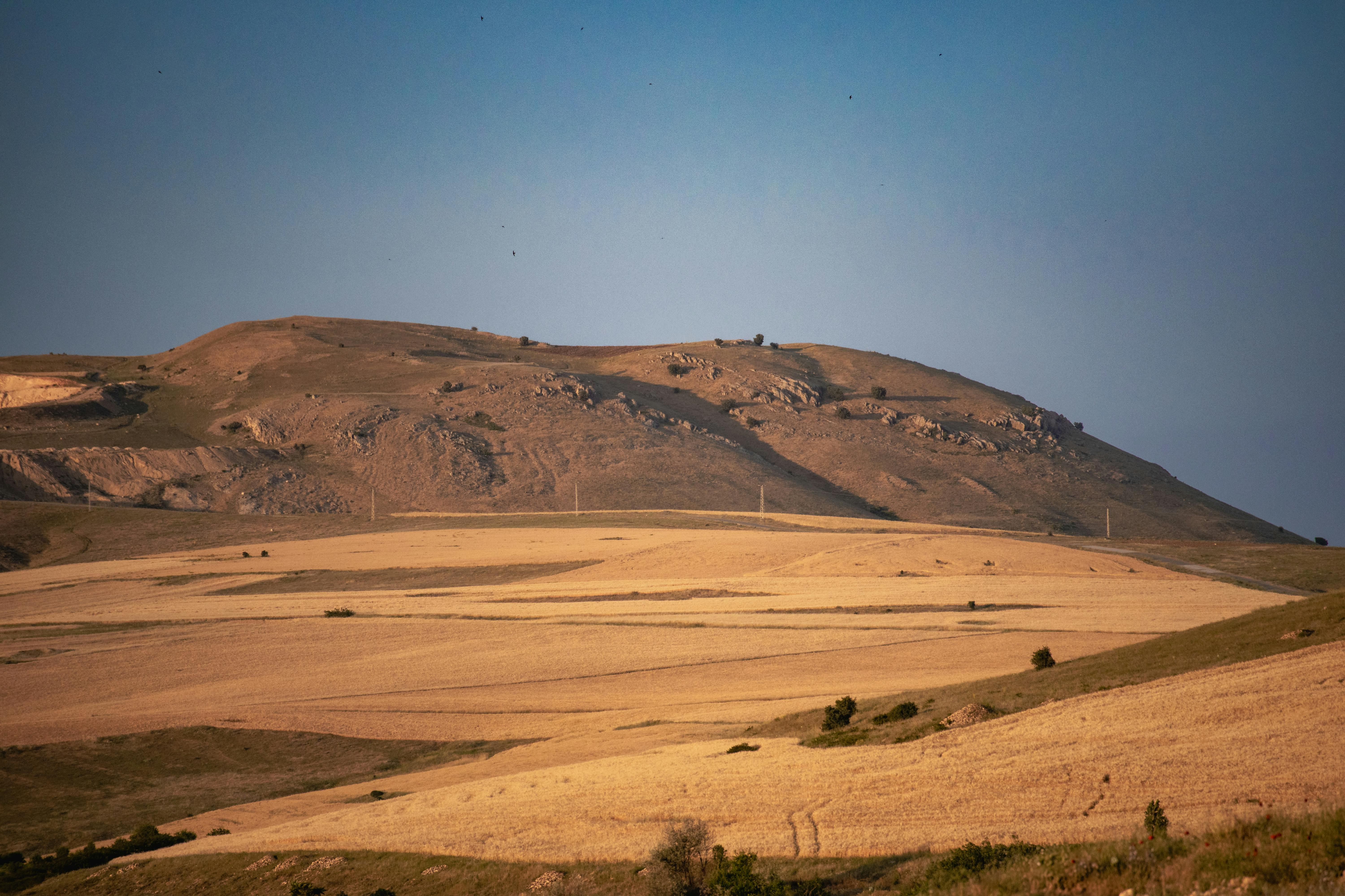Pyramid-Shaped Mountain Covered with Dry Grass · Free Stock Photo