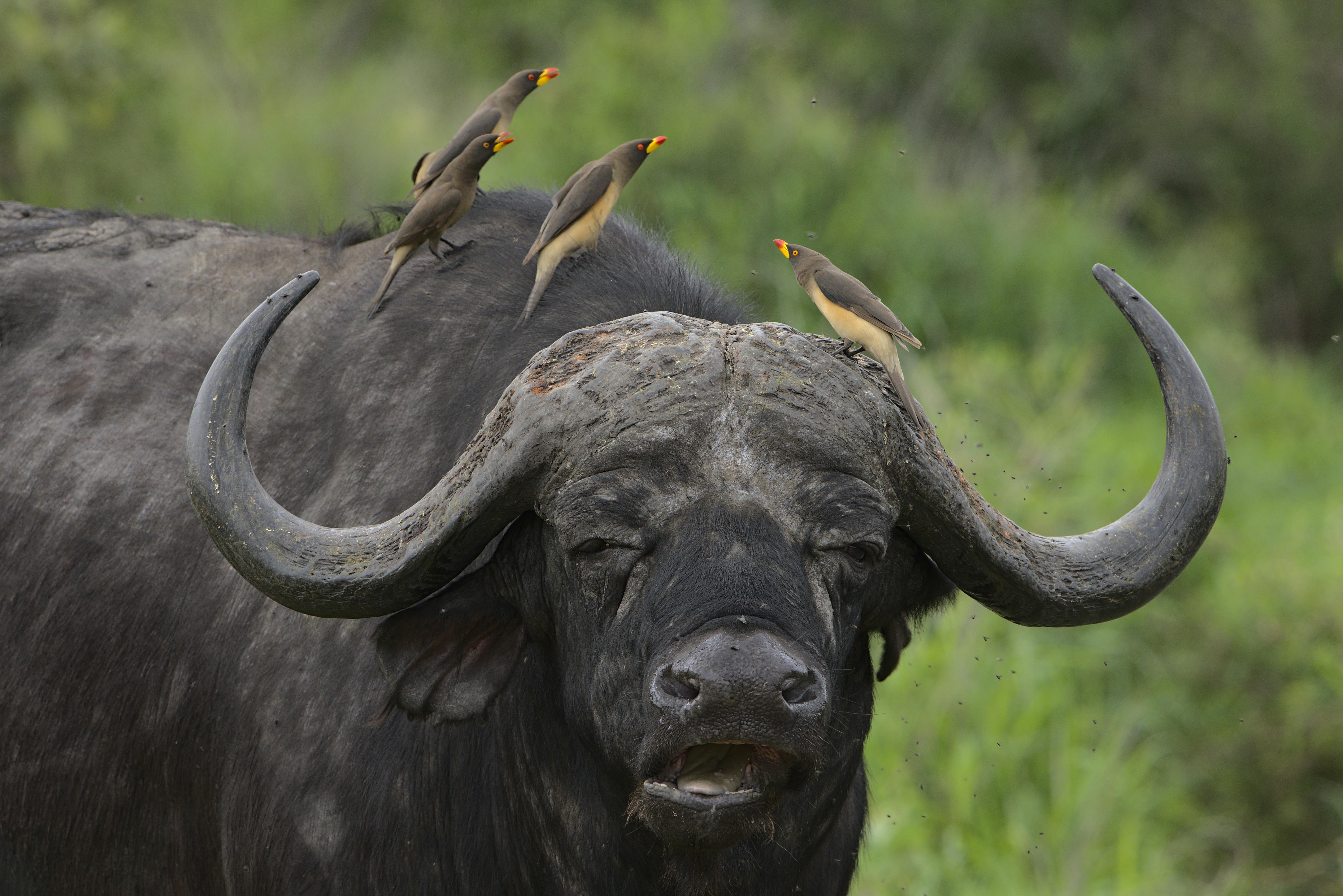 Sampling Relationship Photos, Download The BEST Free Sampling Relationship Stock Photos & HD Images