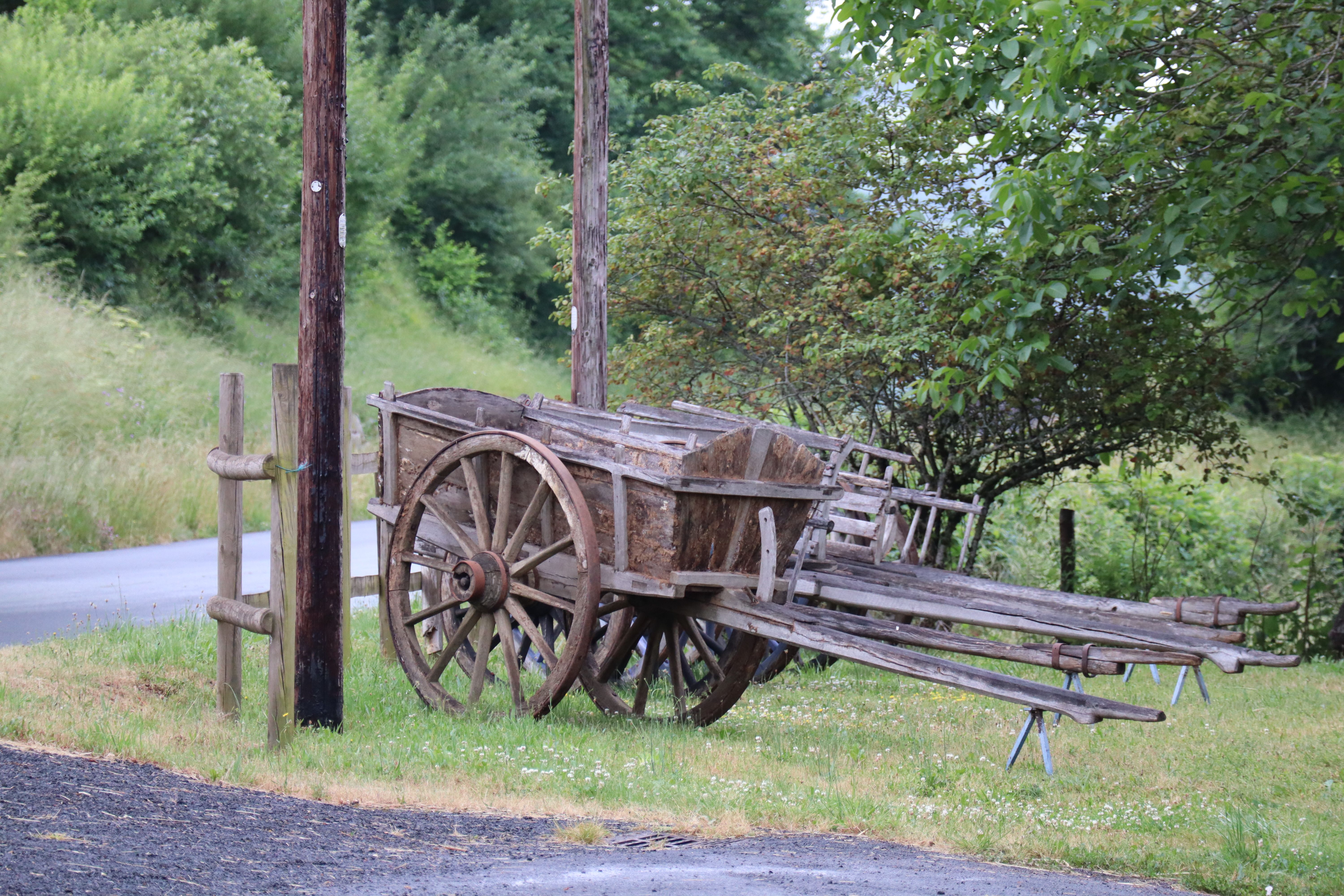 Rustic Wooden Cart in Lush Countryside · Free Stock Photo