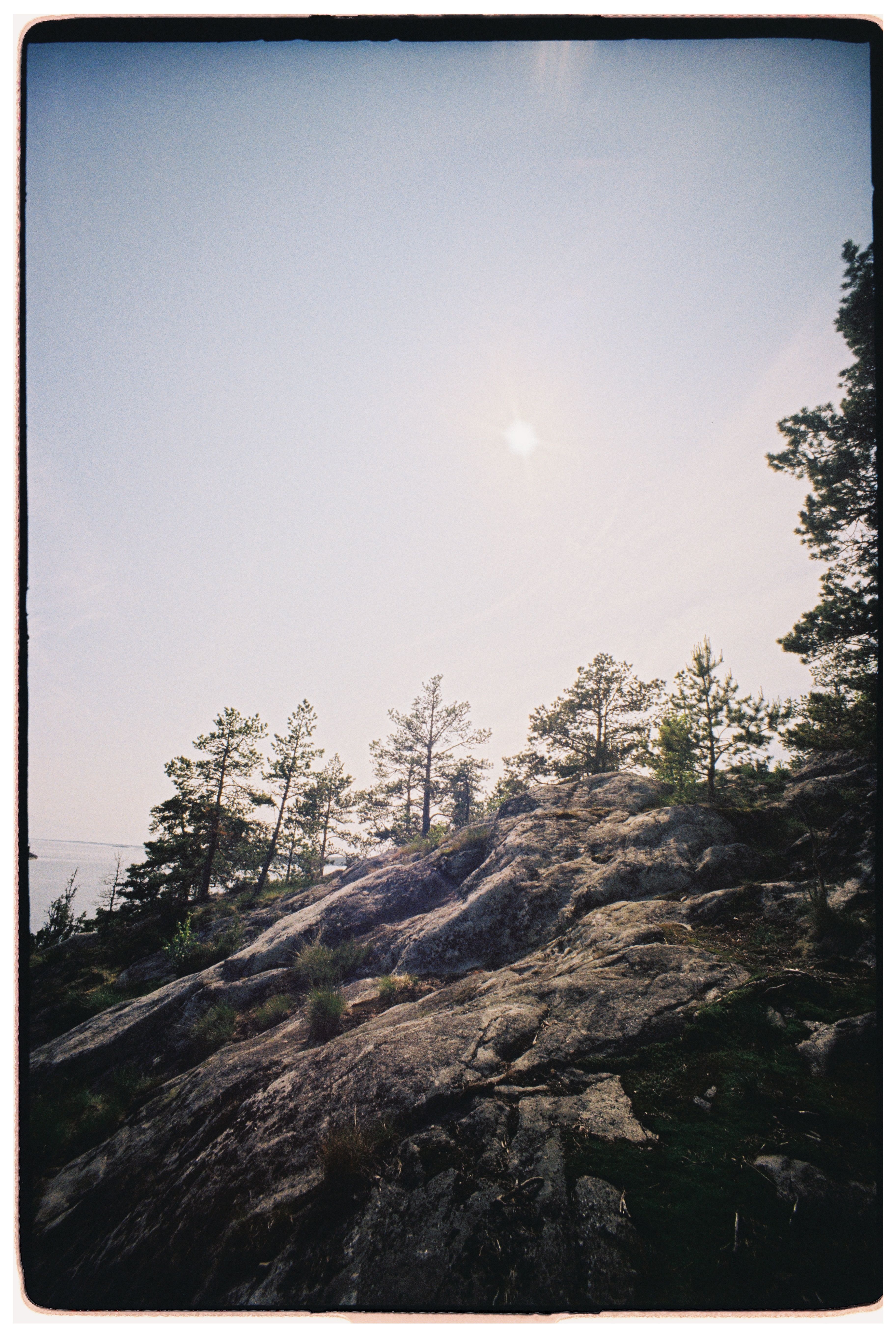 Sunlit Rocky Landscape with Pine Trees · Free Stock Photo