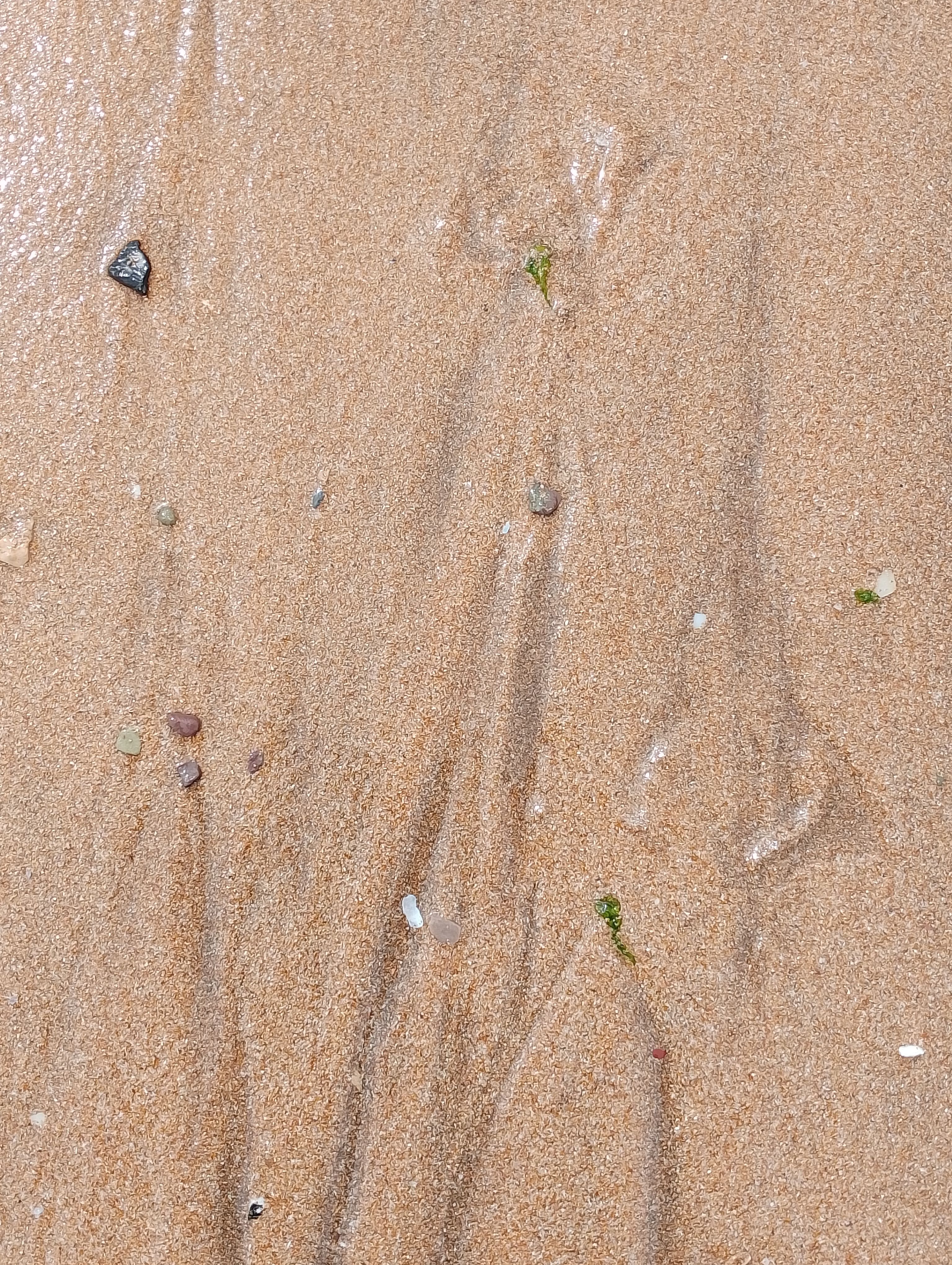 Watermarked Photos, Download The BEST Free Watermarked Stock Photos ...
