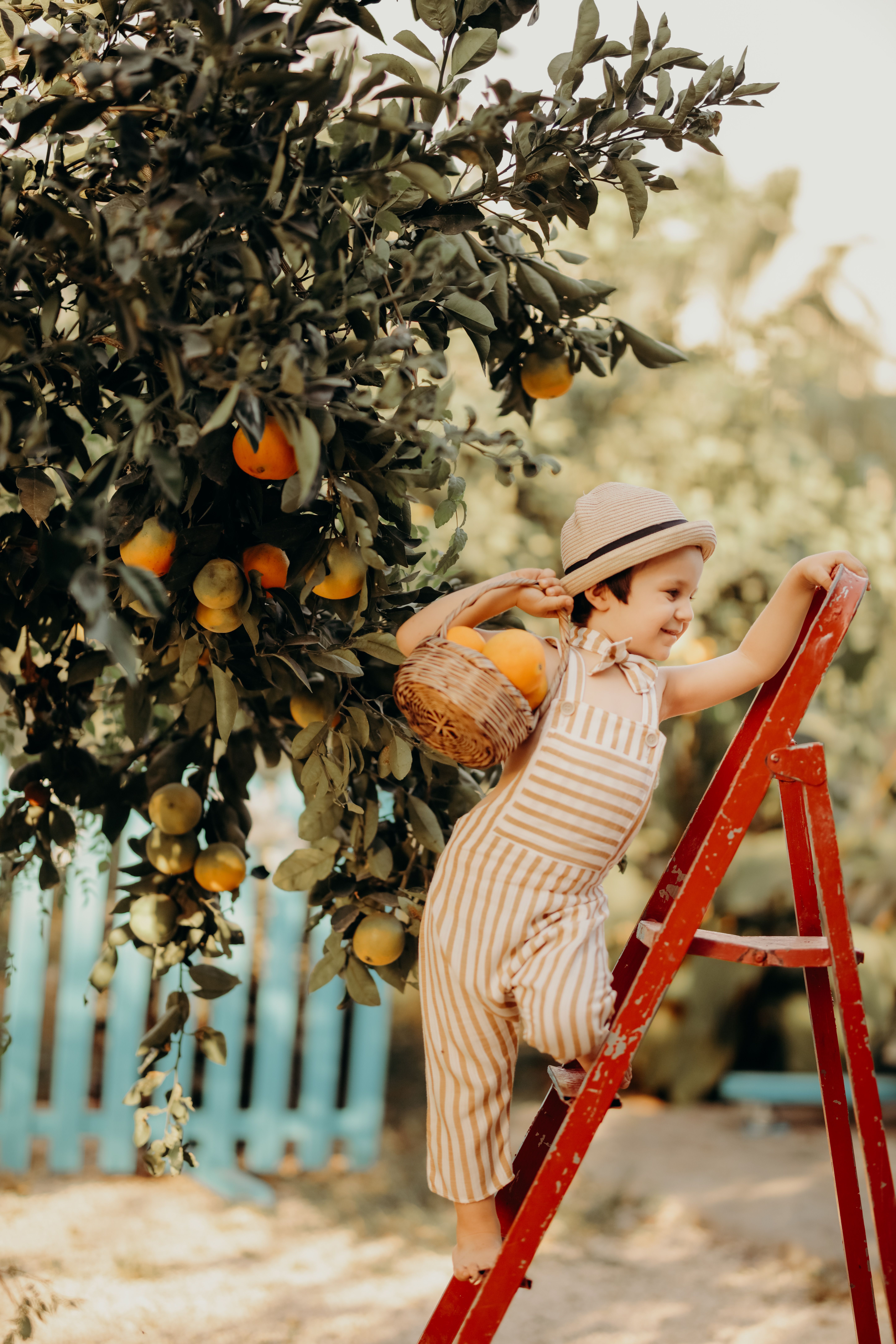 Bottom Of Ladder Photos, Download The BEST Free Bottom Of Ladder Stock ...