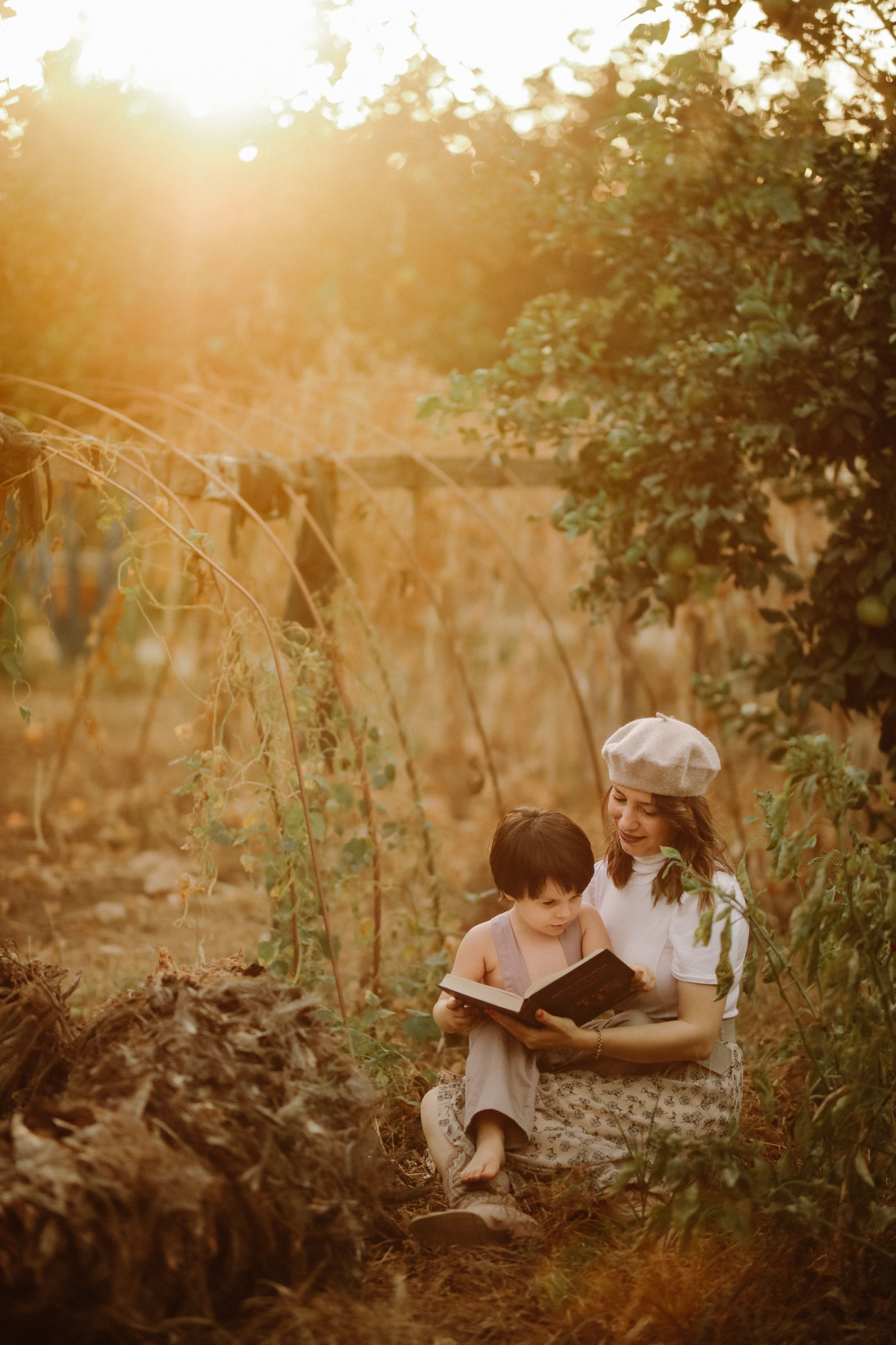 Story Time Photos, Download The BEST Free Story Time Stock Photos & HD ...