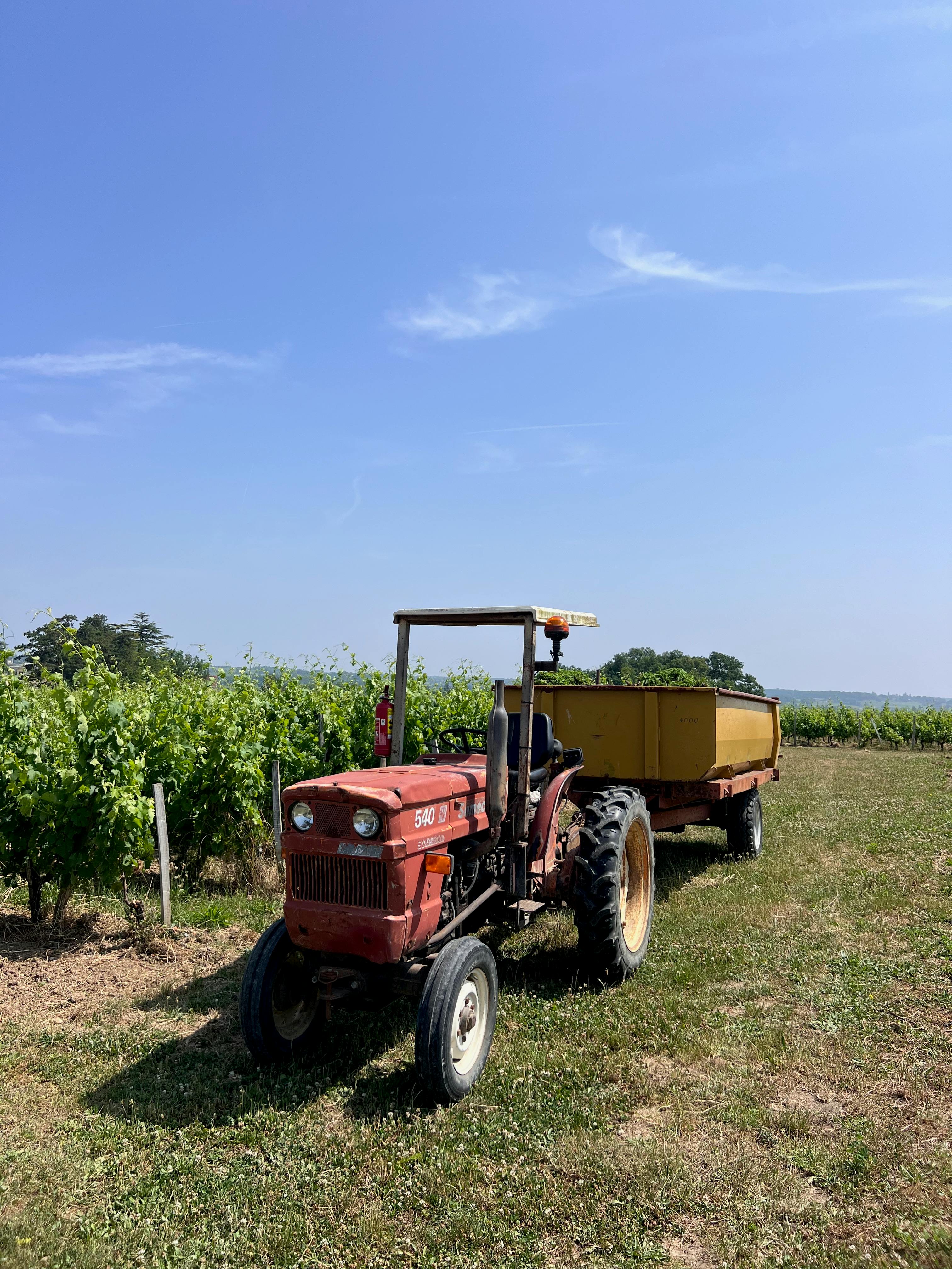 Neolithic Founder Crops Photos, Download The BEST Free Neolithic ...