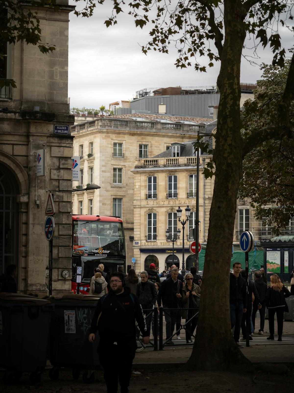 Tree Without Background Photos, Download The BEST Free Tree Without ...