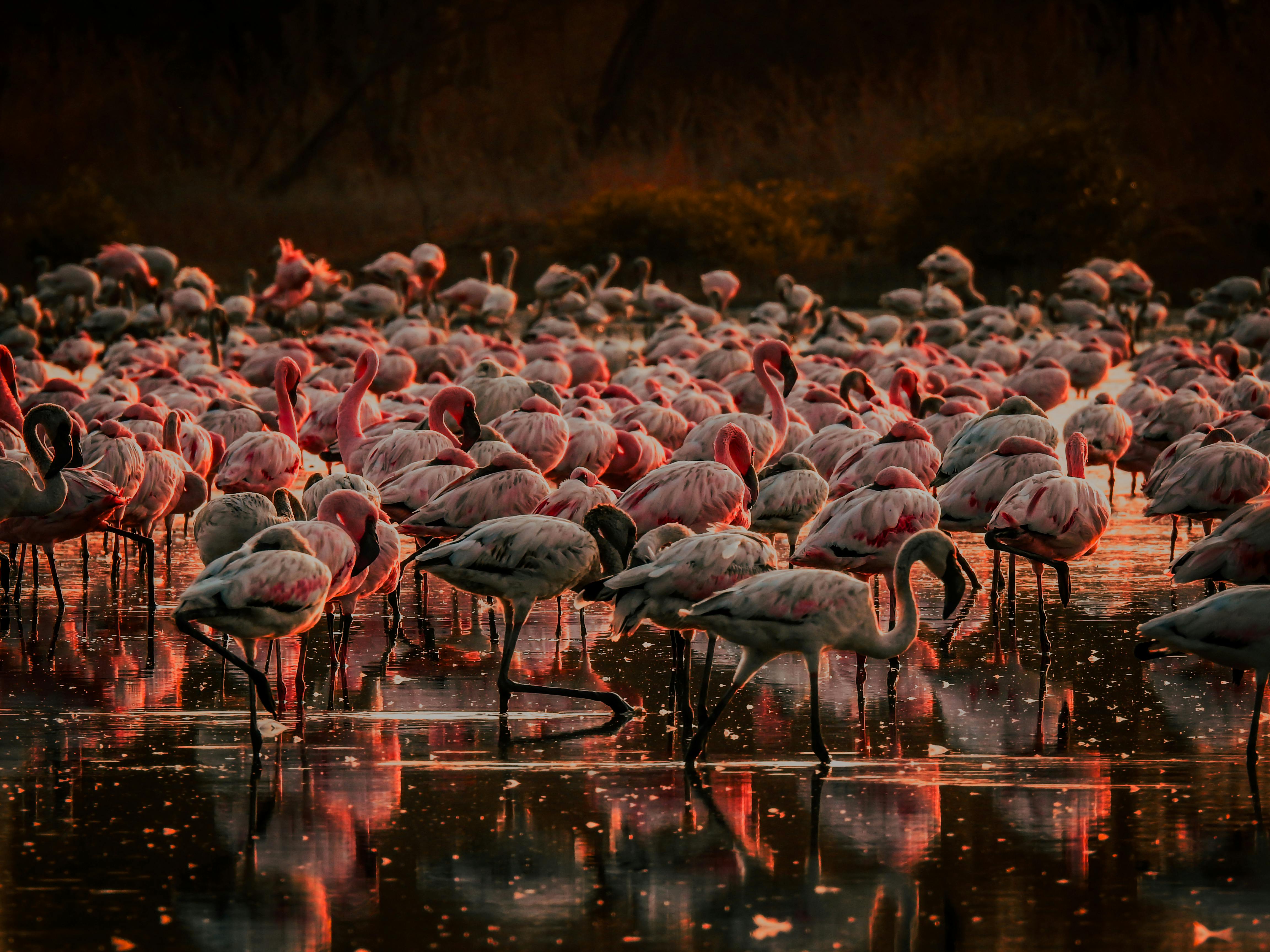 Colourful Powerpoint Photos, Download The BEST Free Colourful ...