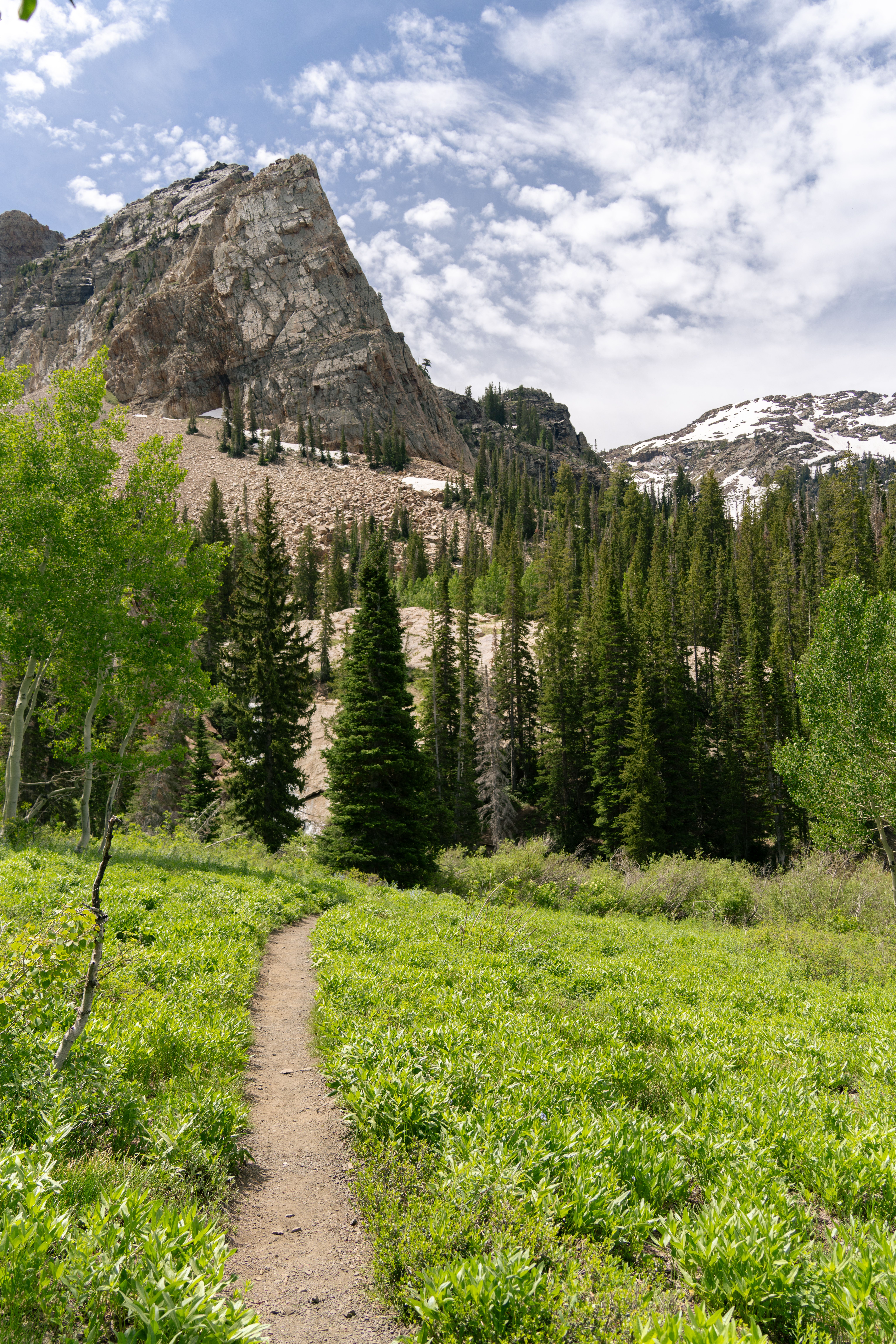 Scenic Hiking Trail in Wasatch Mountains · Free Stock Photo