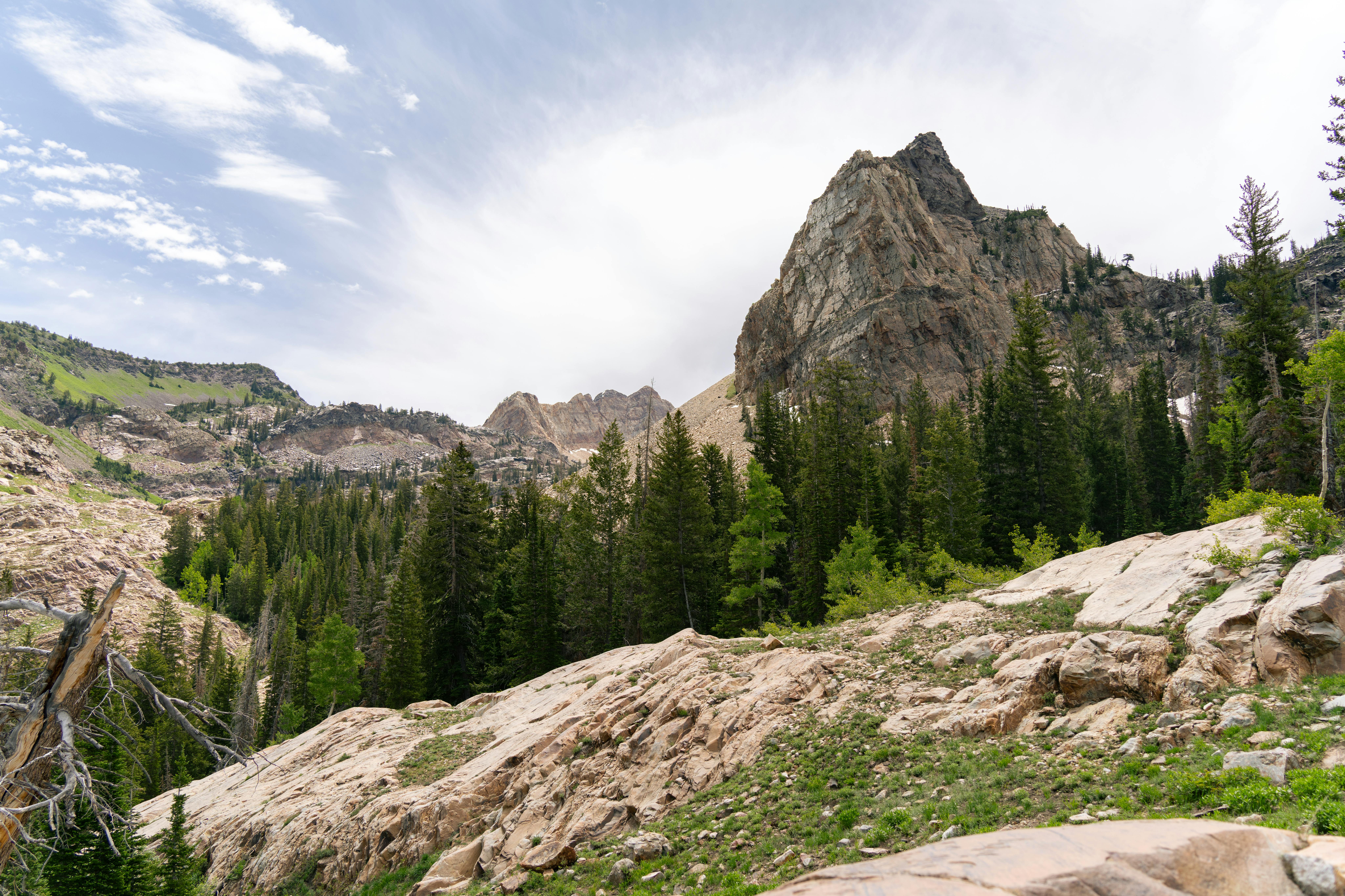 Green Trees Near Mountain Under White Clouds during Noontime · Free ...
