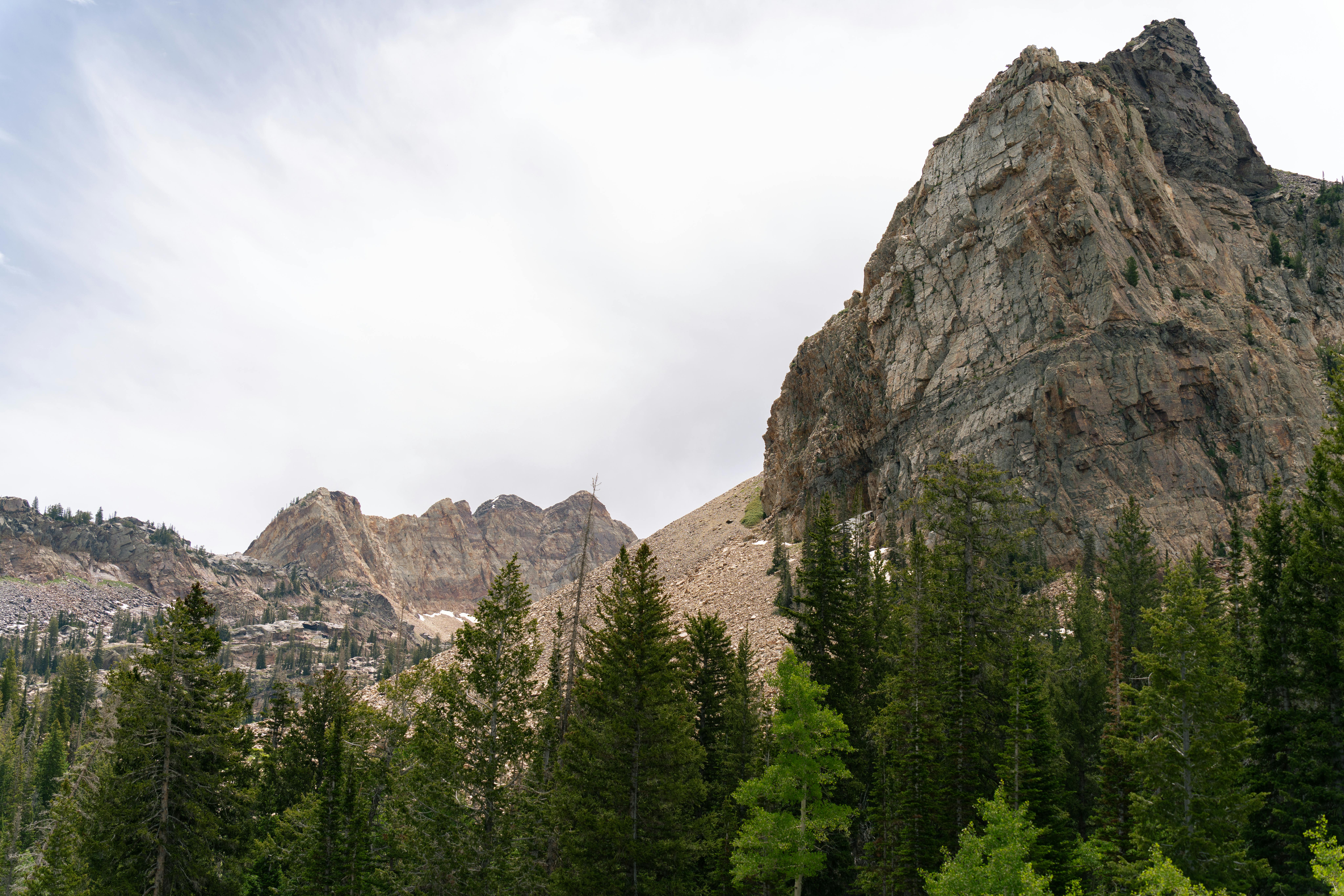 Majestic Wasatch Mountains in Summer · Free Stock Photo