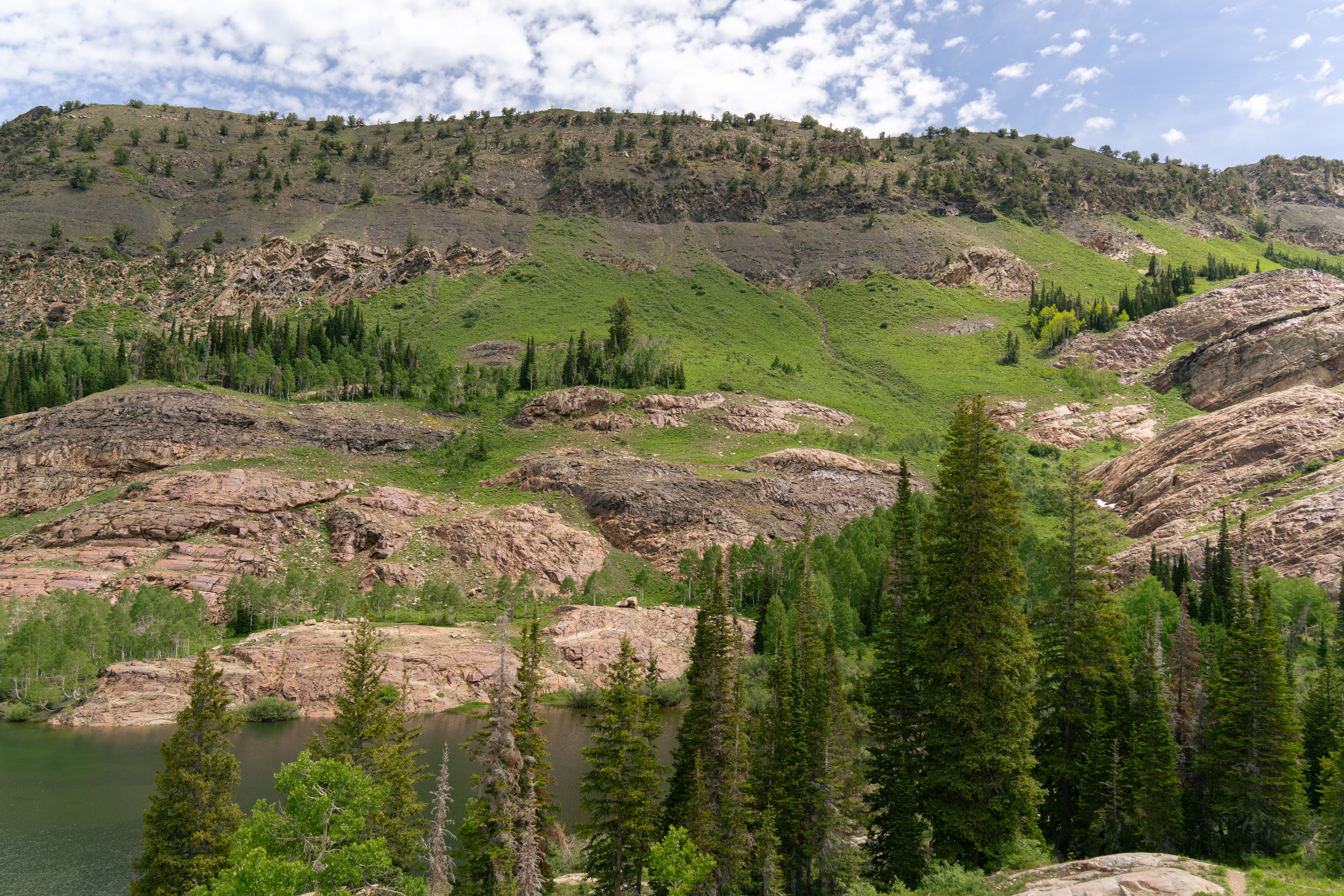 Scenic Mountain and Forest View in Utah Summer · Free Stock Photo