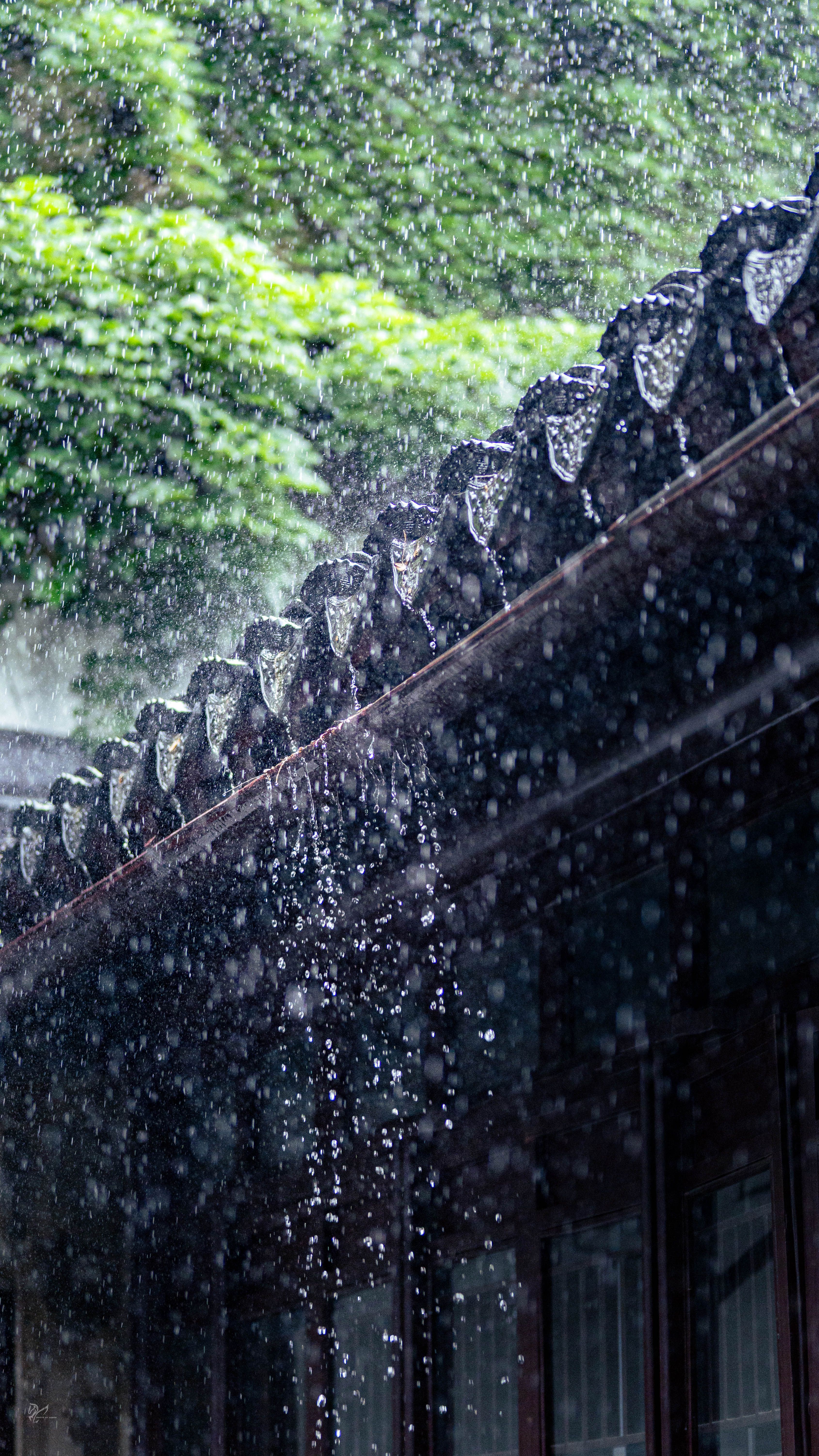 Traditional Chinese Roof in Summer Rain Shower · Free Stock Photo