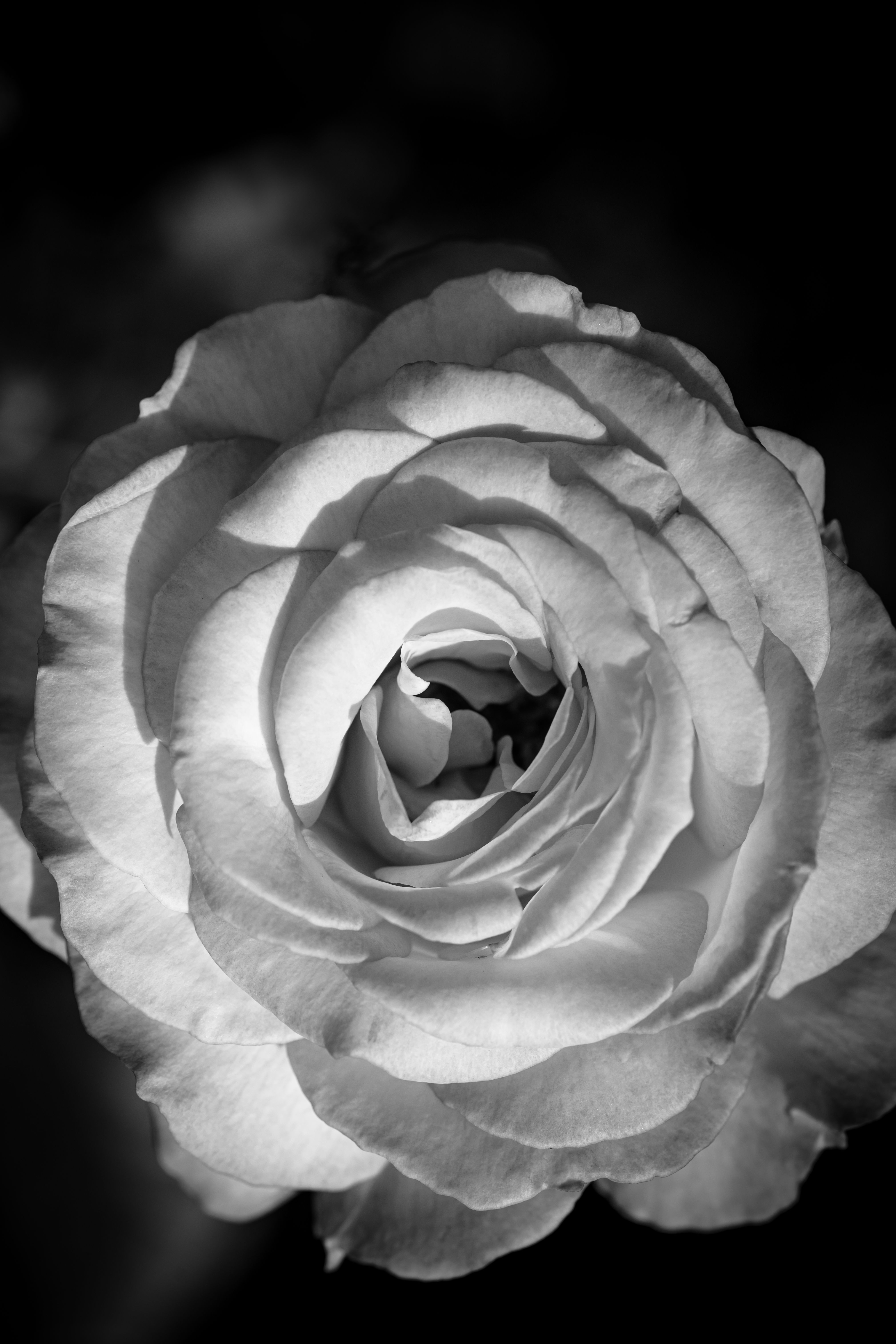Layers Photography Photos, Download The BEST Free Layers Photography ...