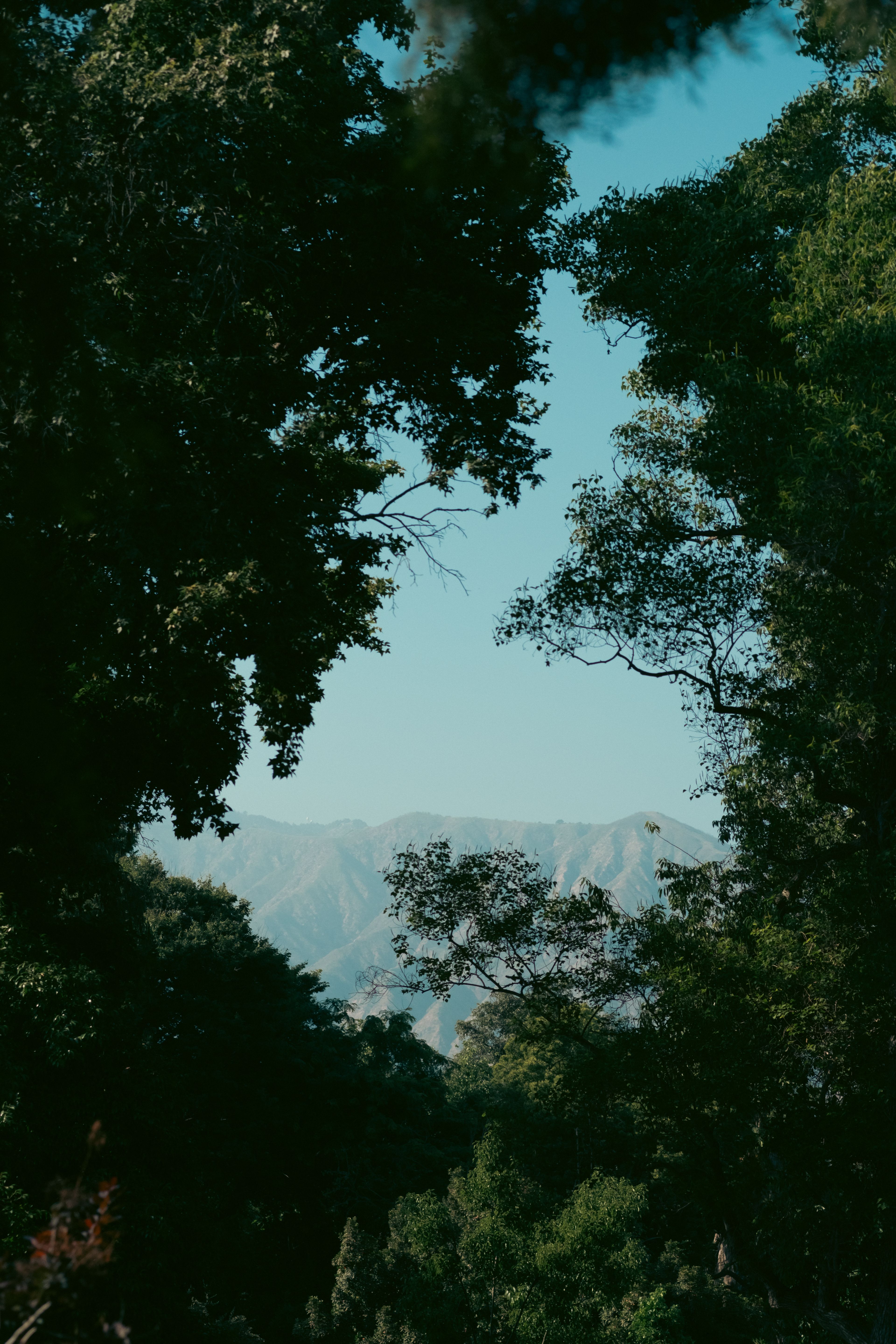 Aesthetic Background Landscape Photos, Download The BEST Free Aesthetic ...