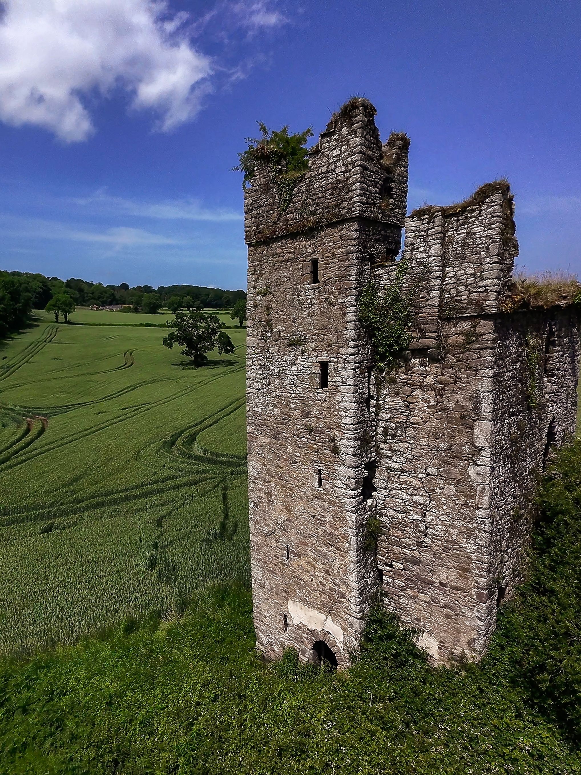 Ancient Castle Ruins Amidst Lush Green Fields · Free Stock Photo