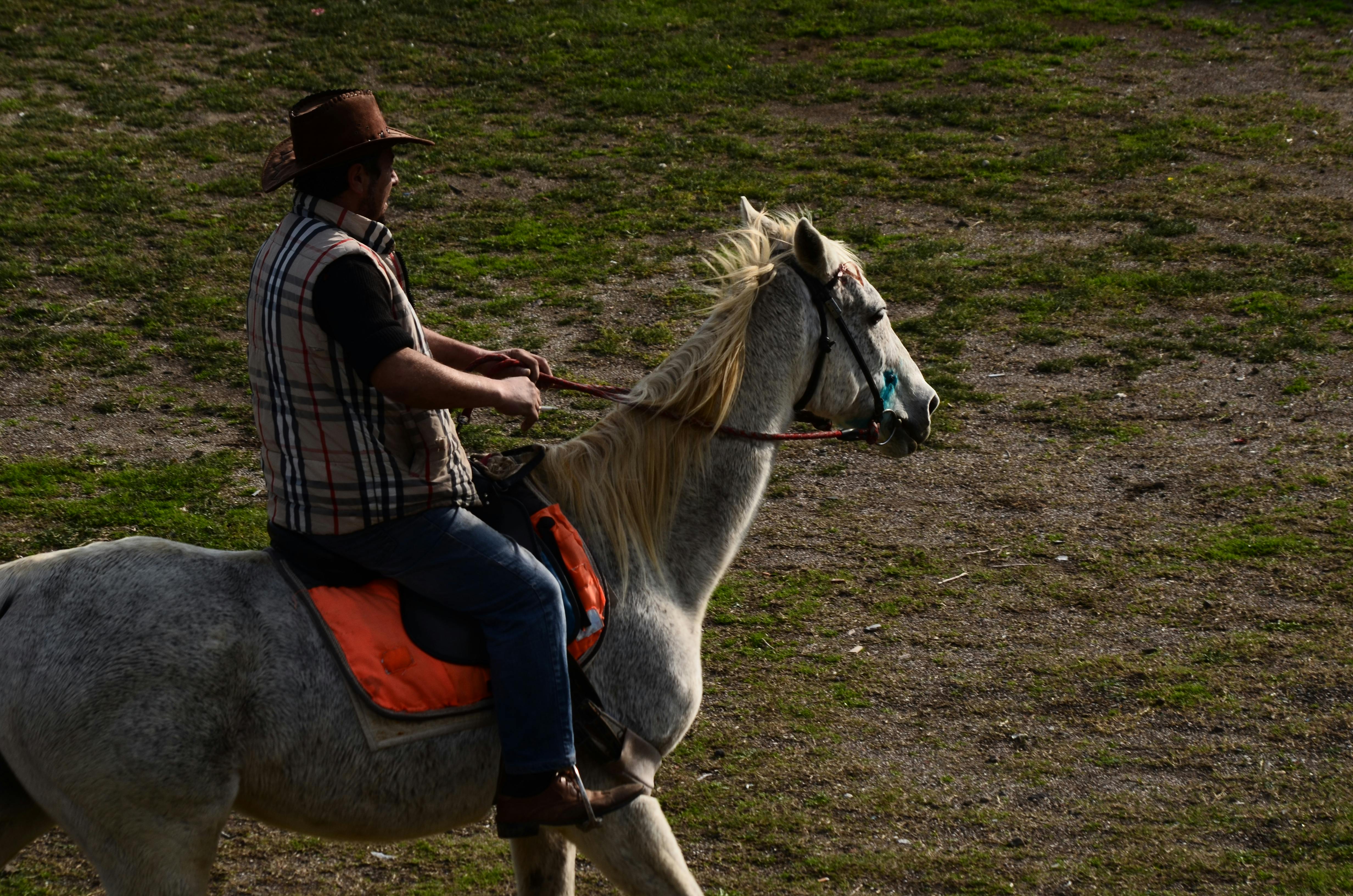 Man Riding White Horse in Open Field · Free Stock Photo