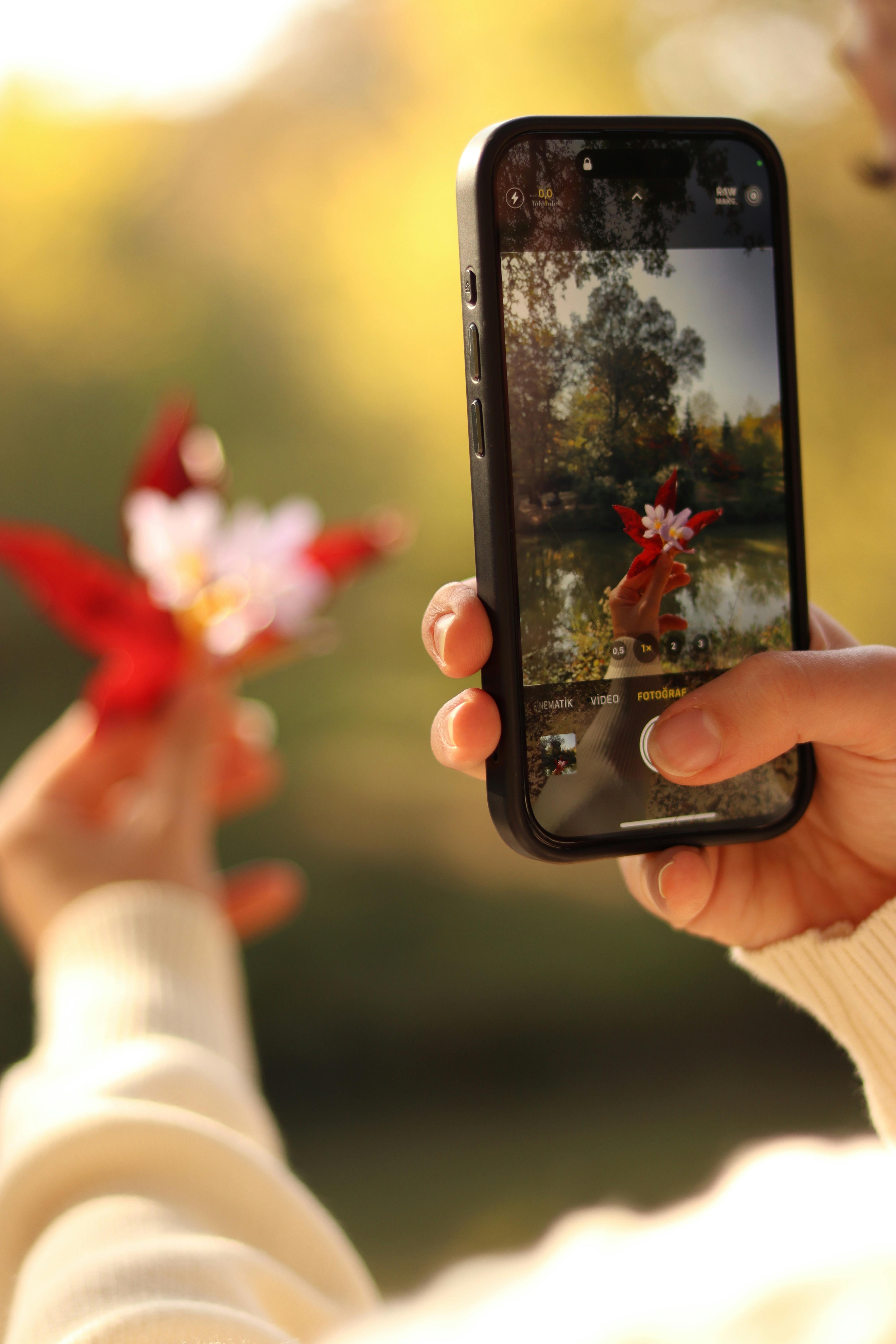 Screen Saver Seasonal Photos, Download The BEST Free Screen Saver ...