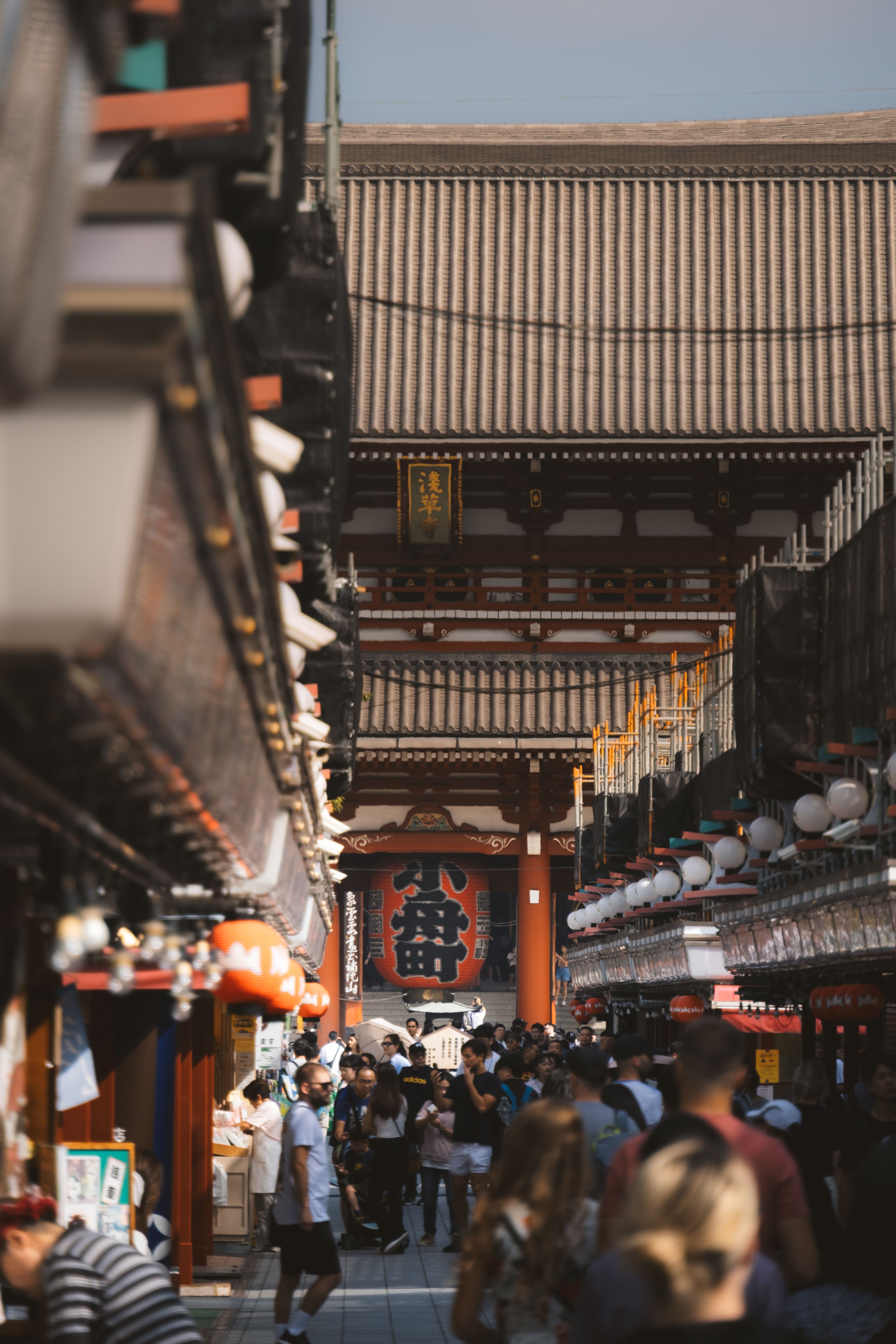 Japanese Samples Photos, Download The BEST Free Japanese Samples Stock Photos & HD Images
