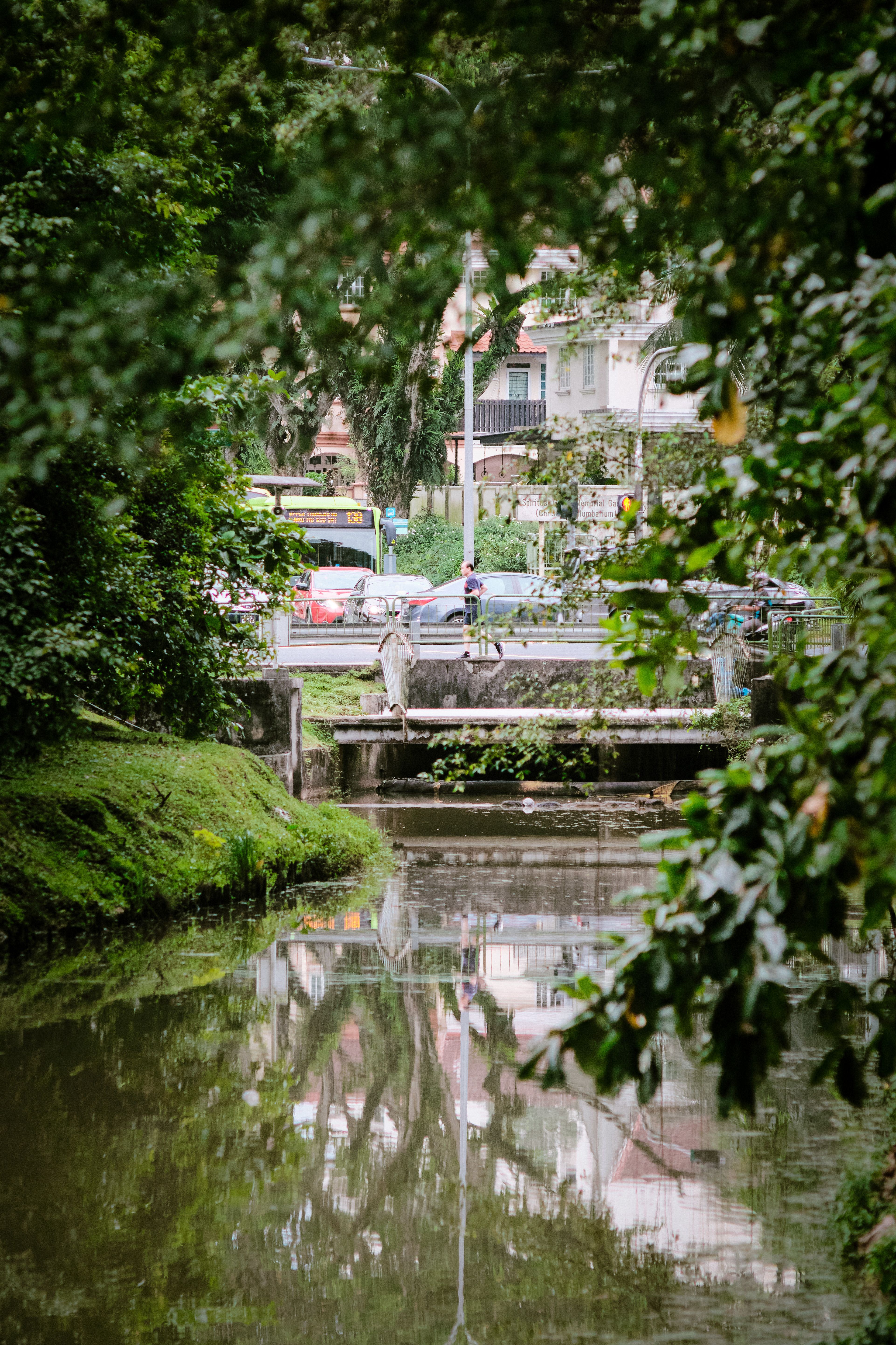 Scenic Urban Canal with Lush Greenery · Free Stock Photo