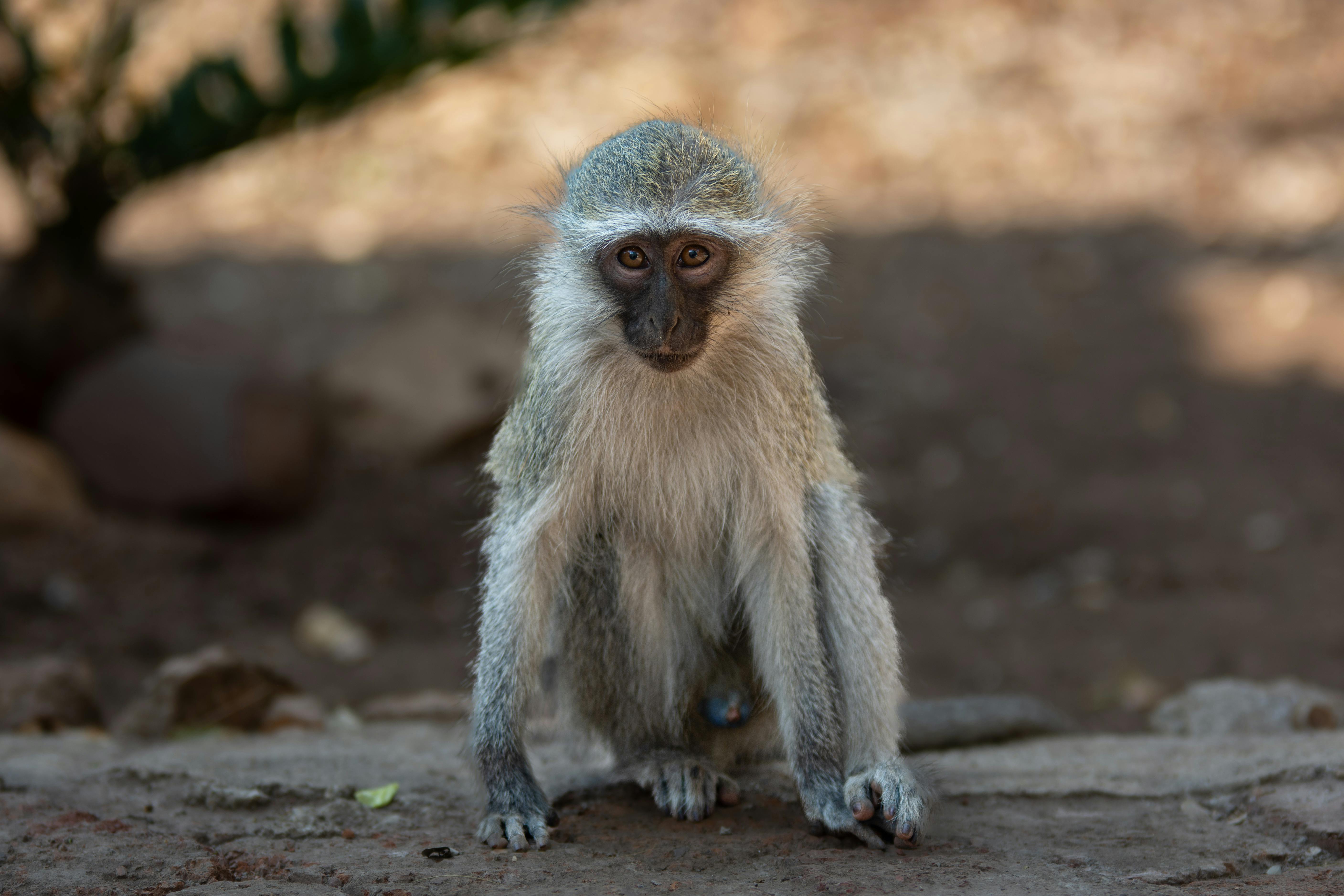 Behavior Photos, Download The BEST Free Behavior Stock Photos & HD Images