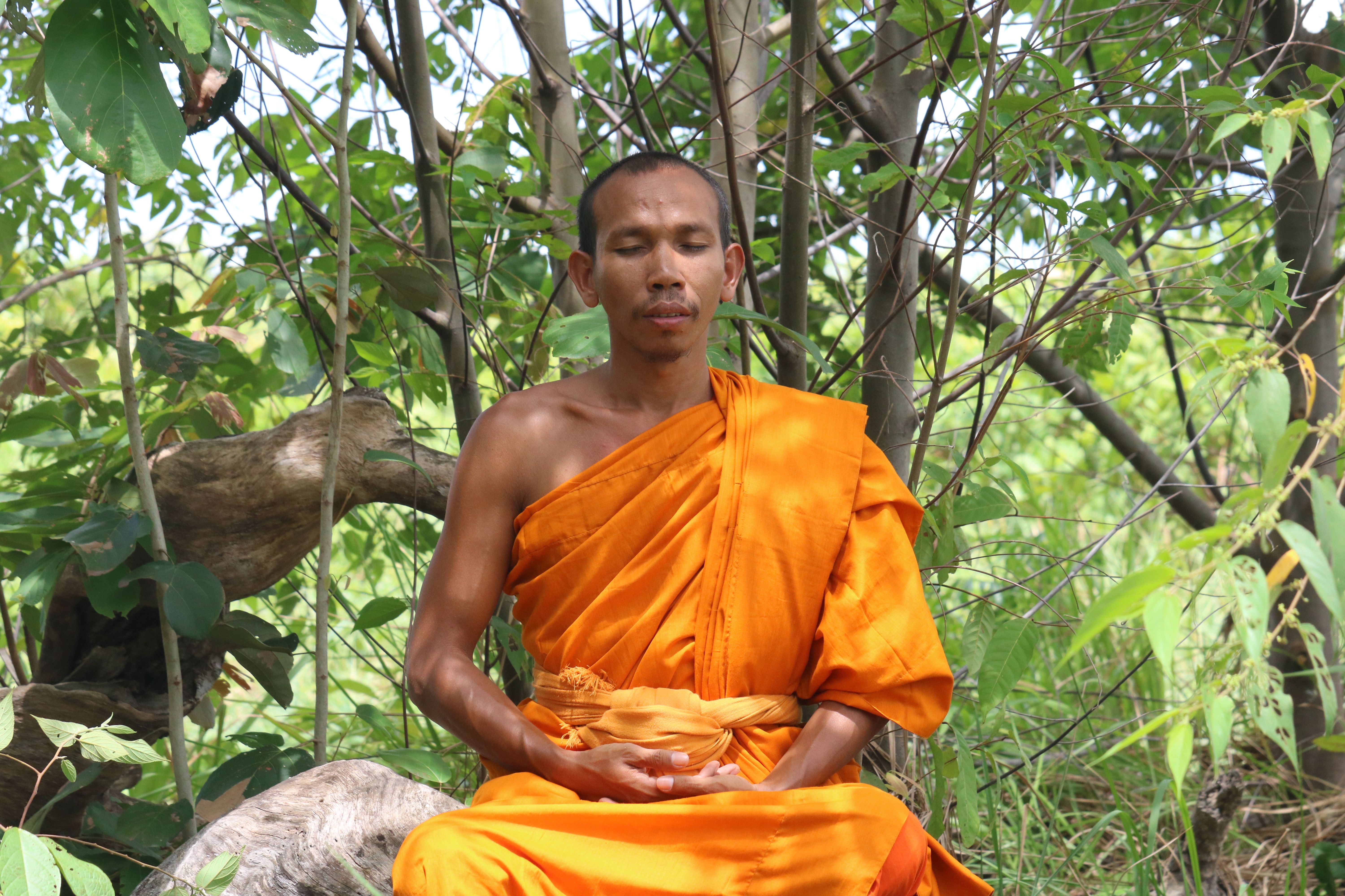 Buddhist Monk Meditating in Tranquil Cambodian Forest · Free Stock Photo