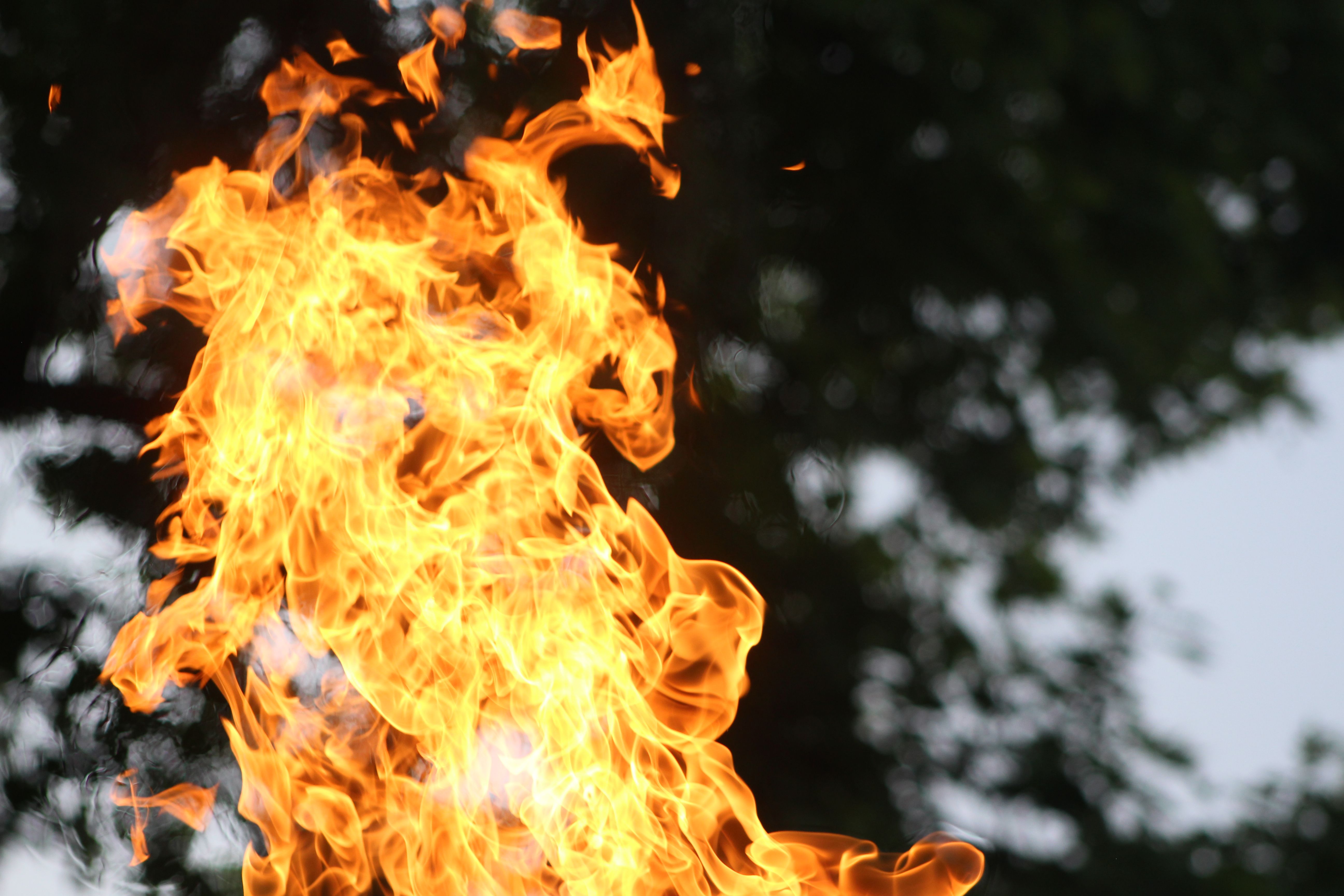 Red Flame · Free Stock Photo