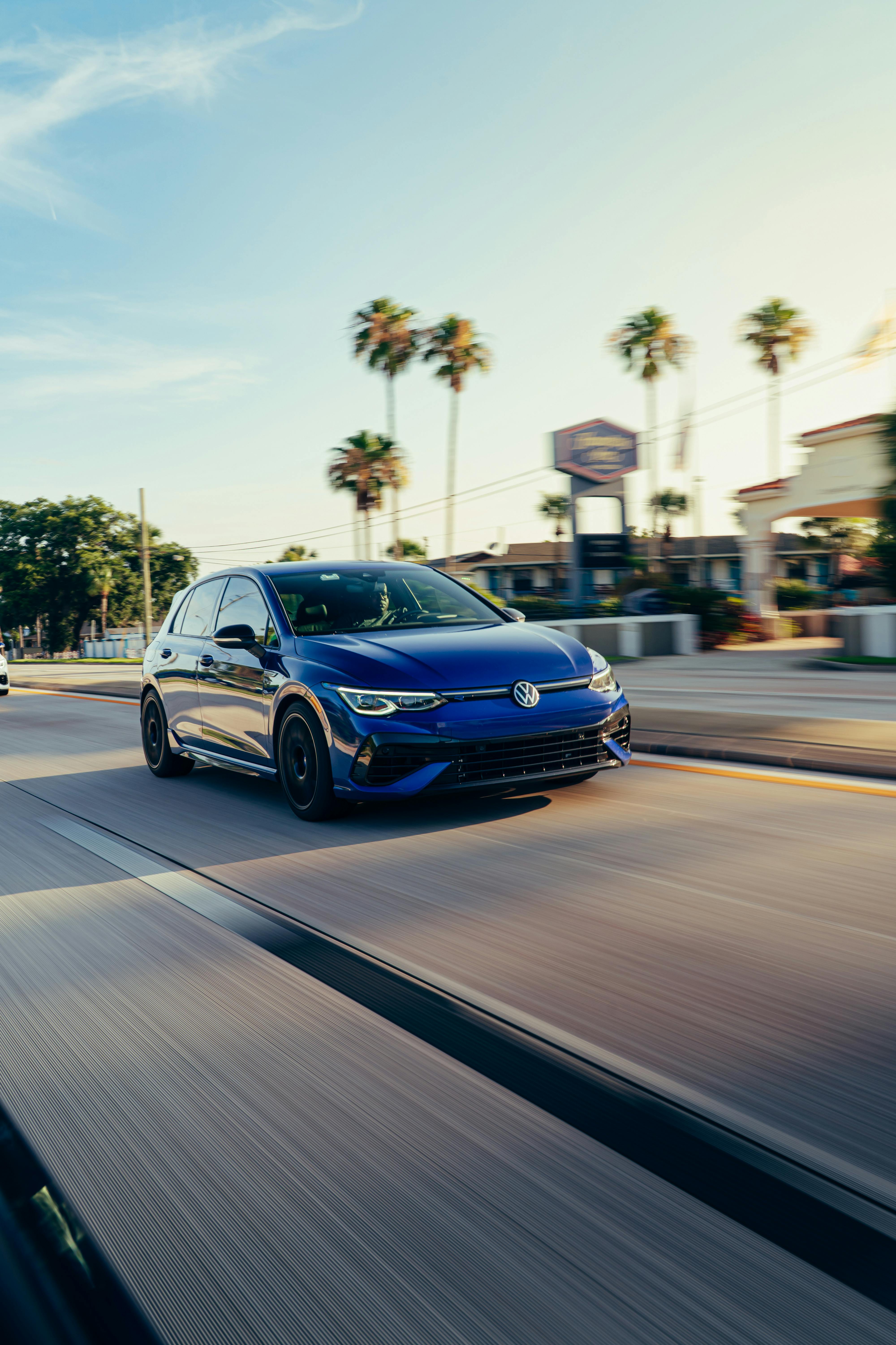 Fast Frog Photos, Download The BEST Free Fast Frog Stock Photos & HD Images