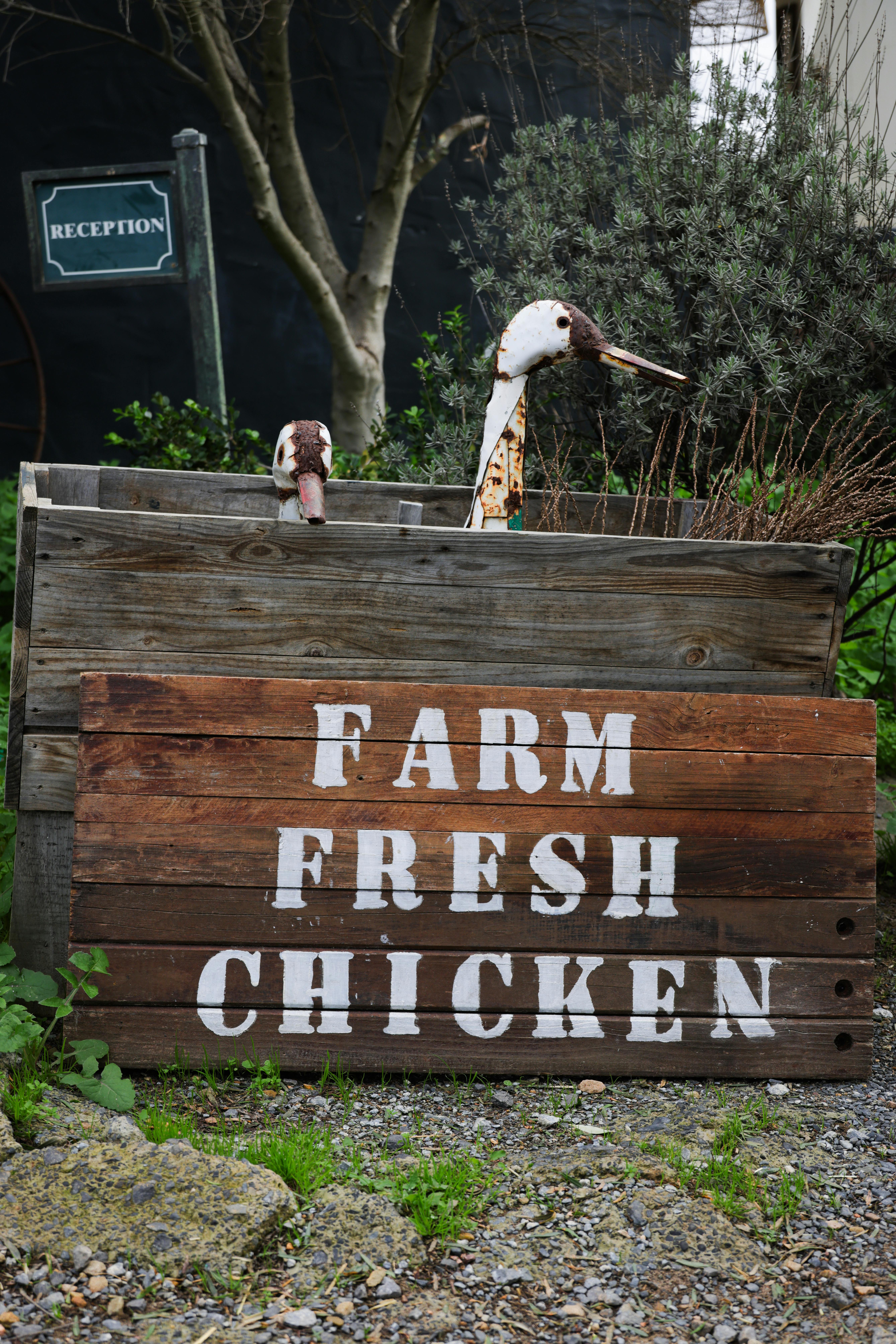 Rustic Farm Fresh Chicken Sign in Garden · Free Stock Photo