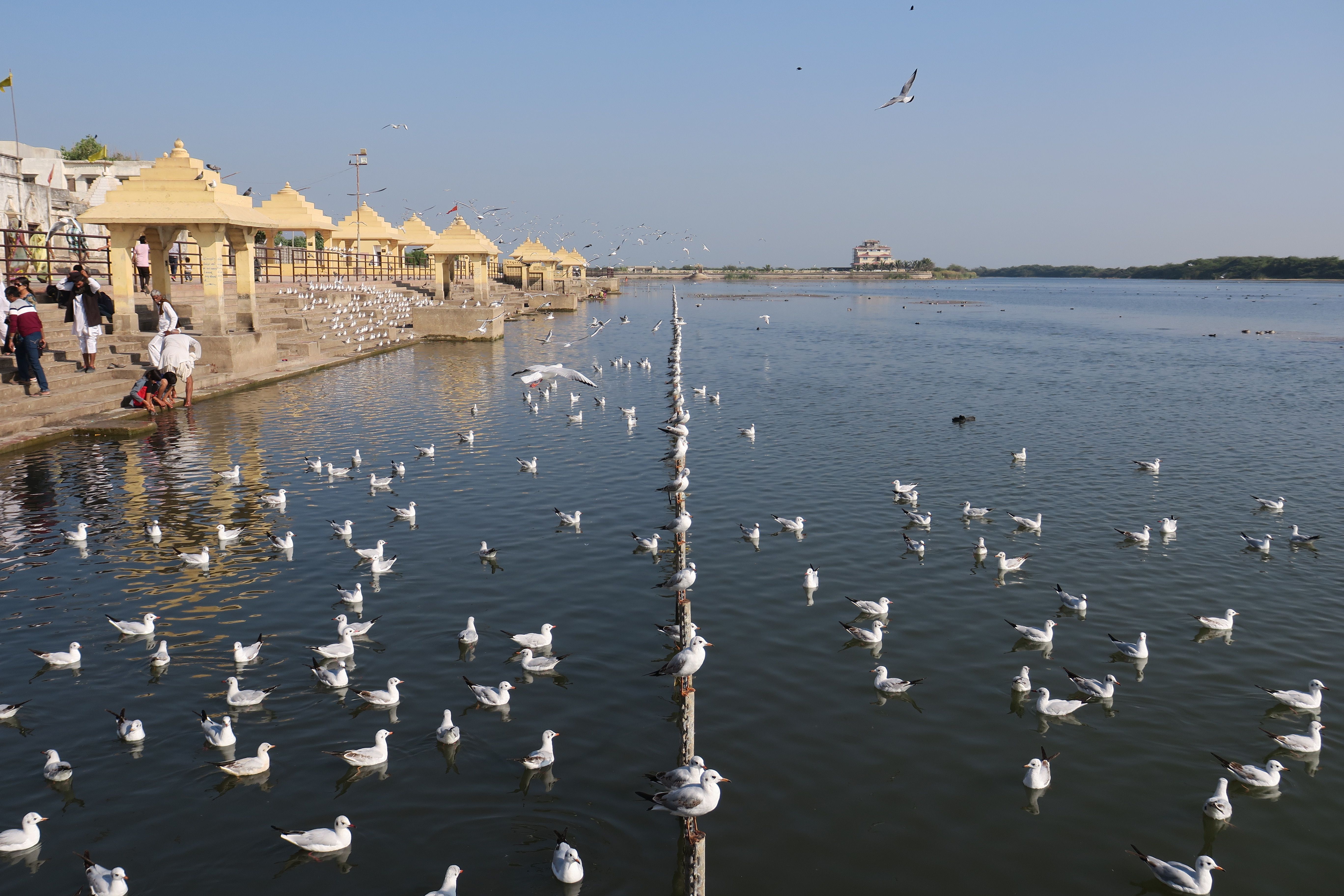Lakhota Lake Photos, Download The BEST Free Lakhota Lake Stock Photos ...