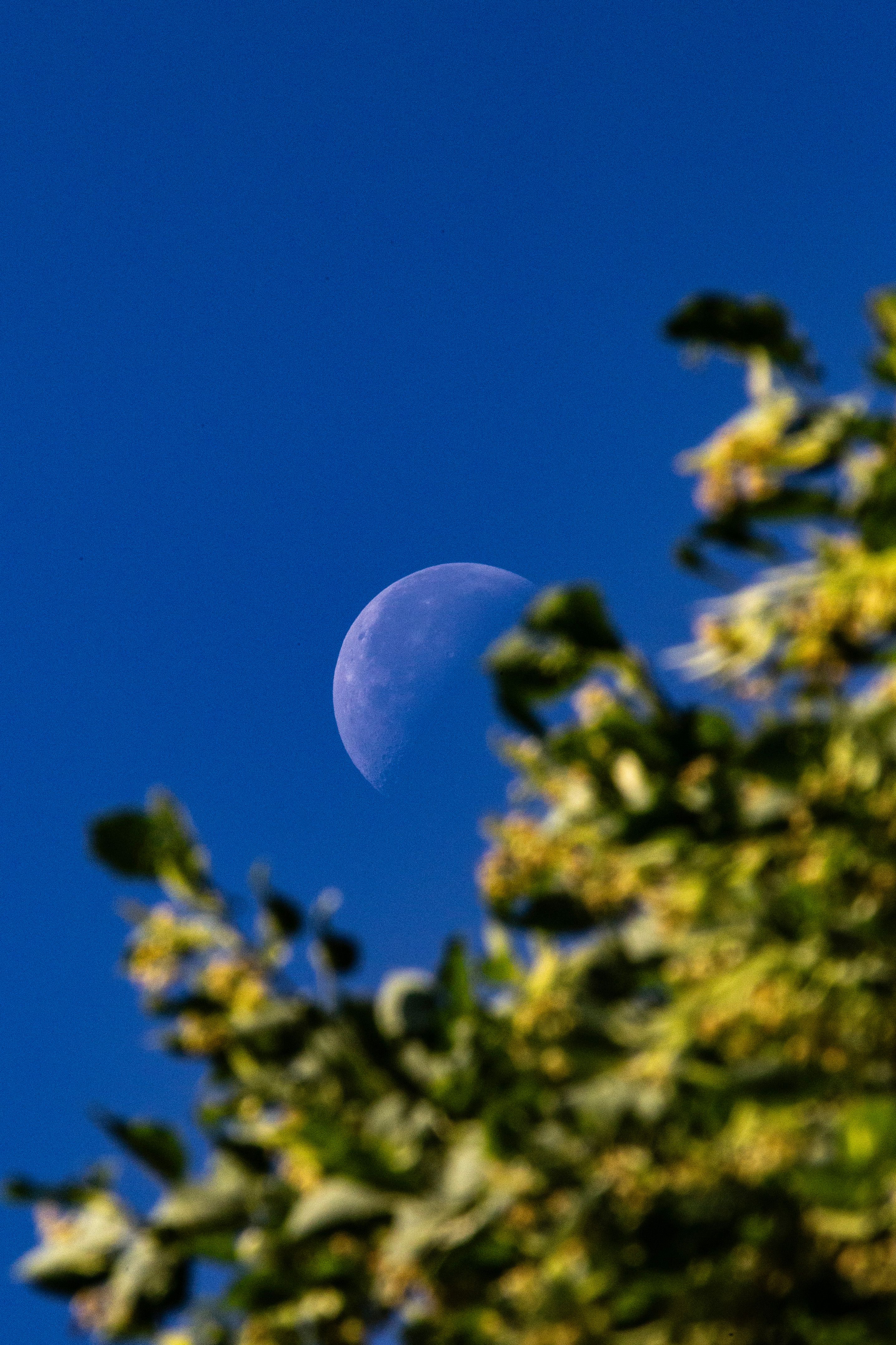 Moon Landscape Photos, Download The BEST Free Moon Landscape Stock ...