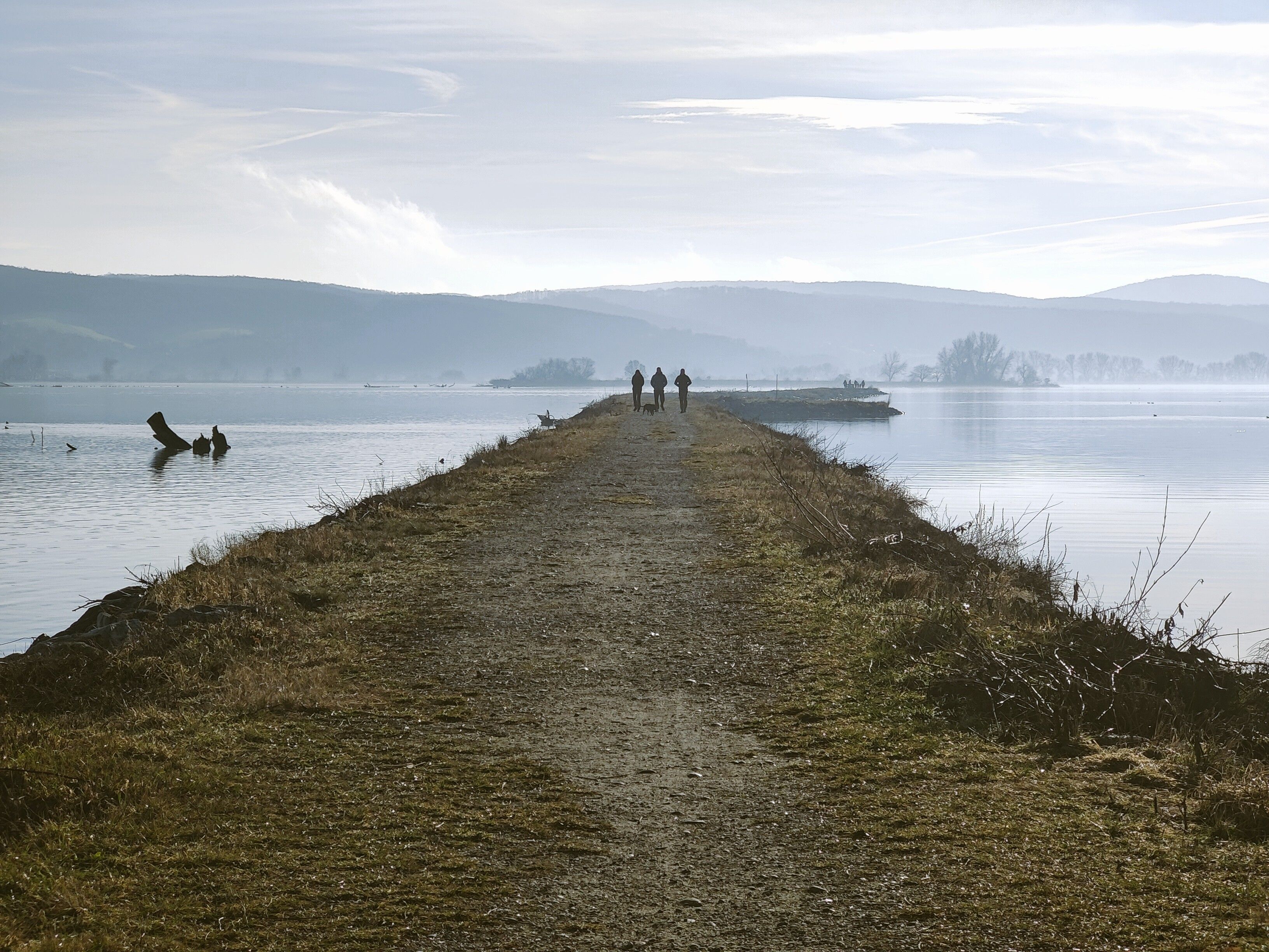 Peaceful Lakeside Walkway in Winter Fog · Free Stock Photo