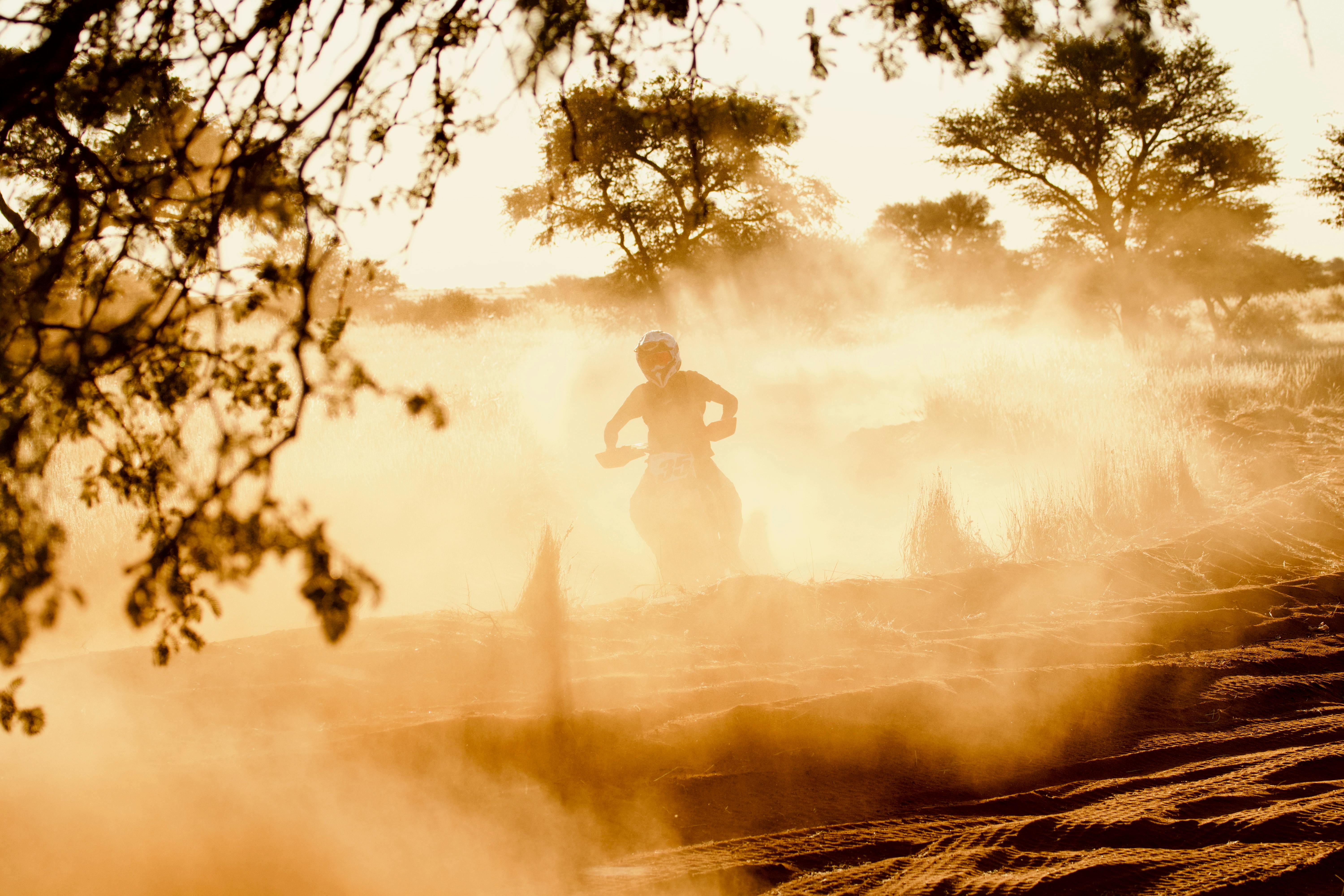 Excitement Photos, Download The BEST Free Excitement Stock Photos & HD ...